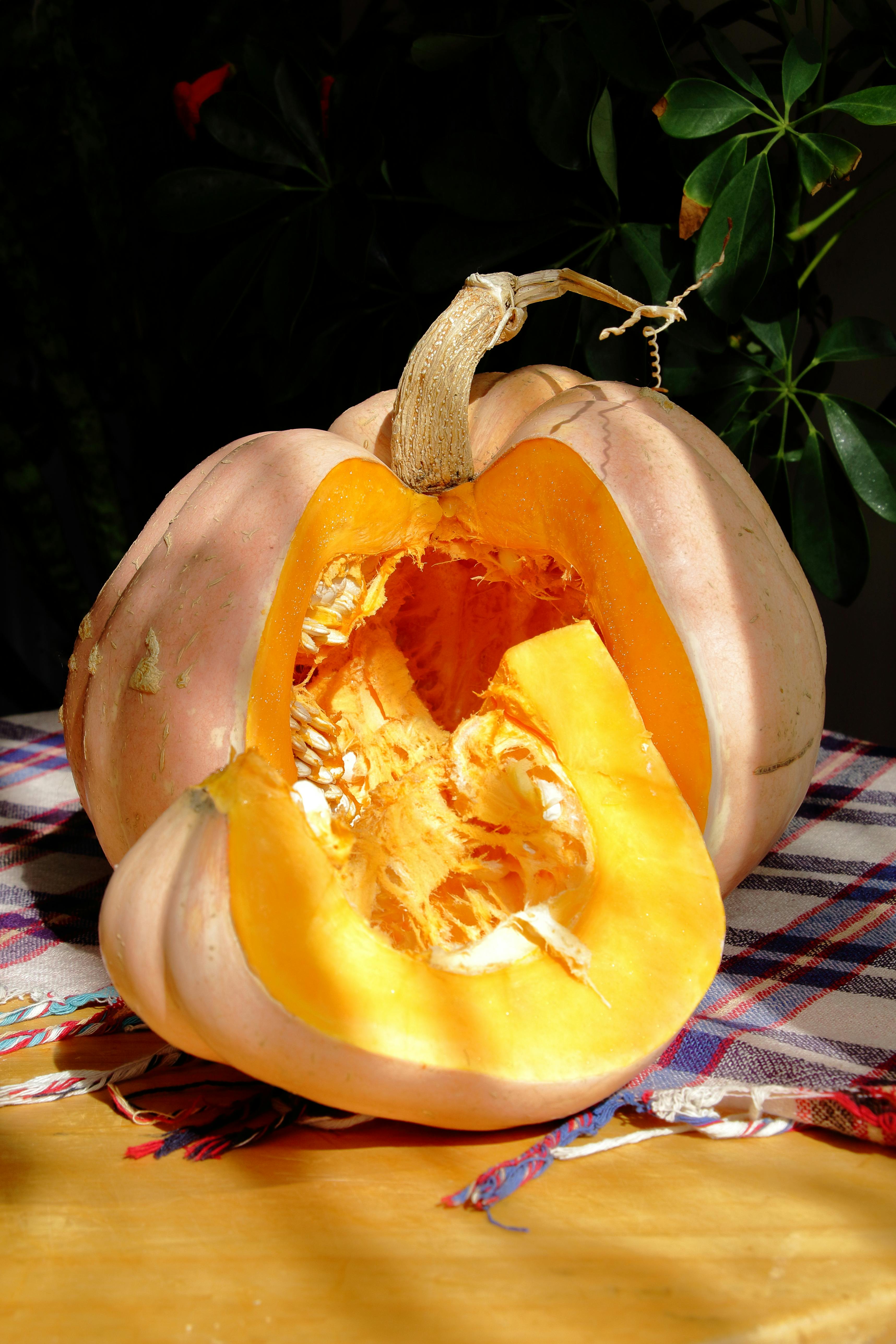 Close-Up Photography of A Pumpkin · Free Stock Photo