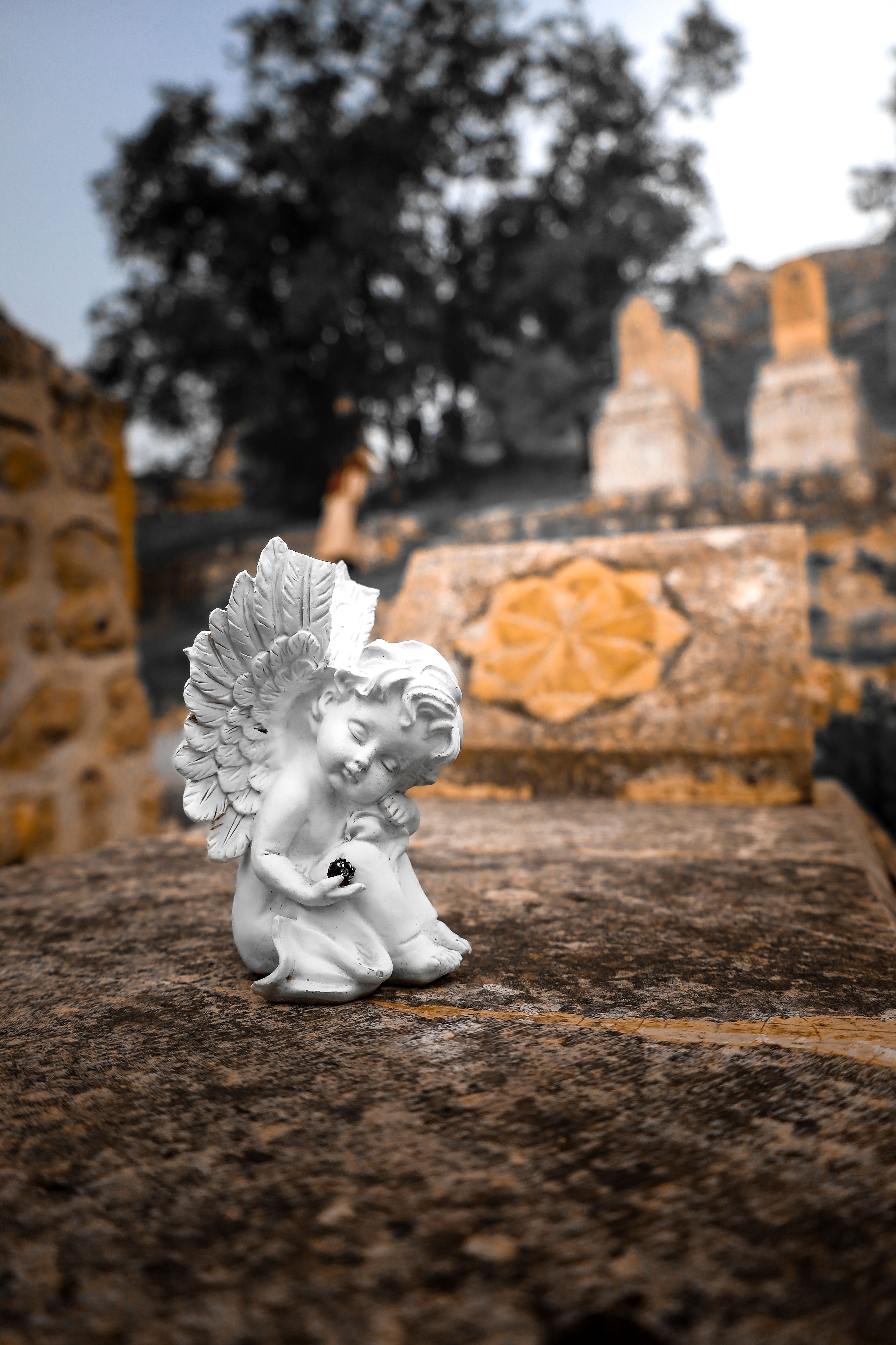 Hobi Photography – Fotografia