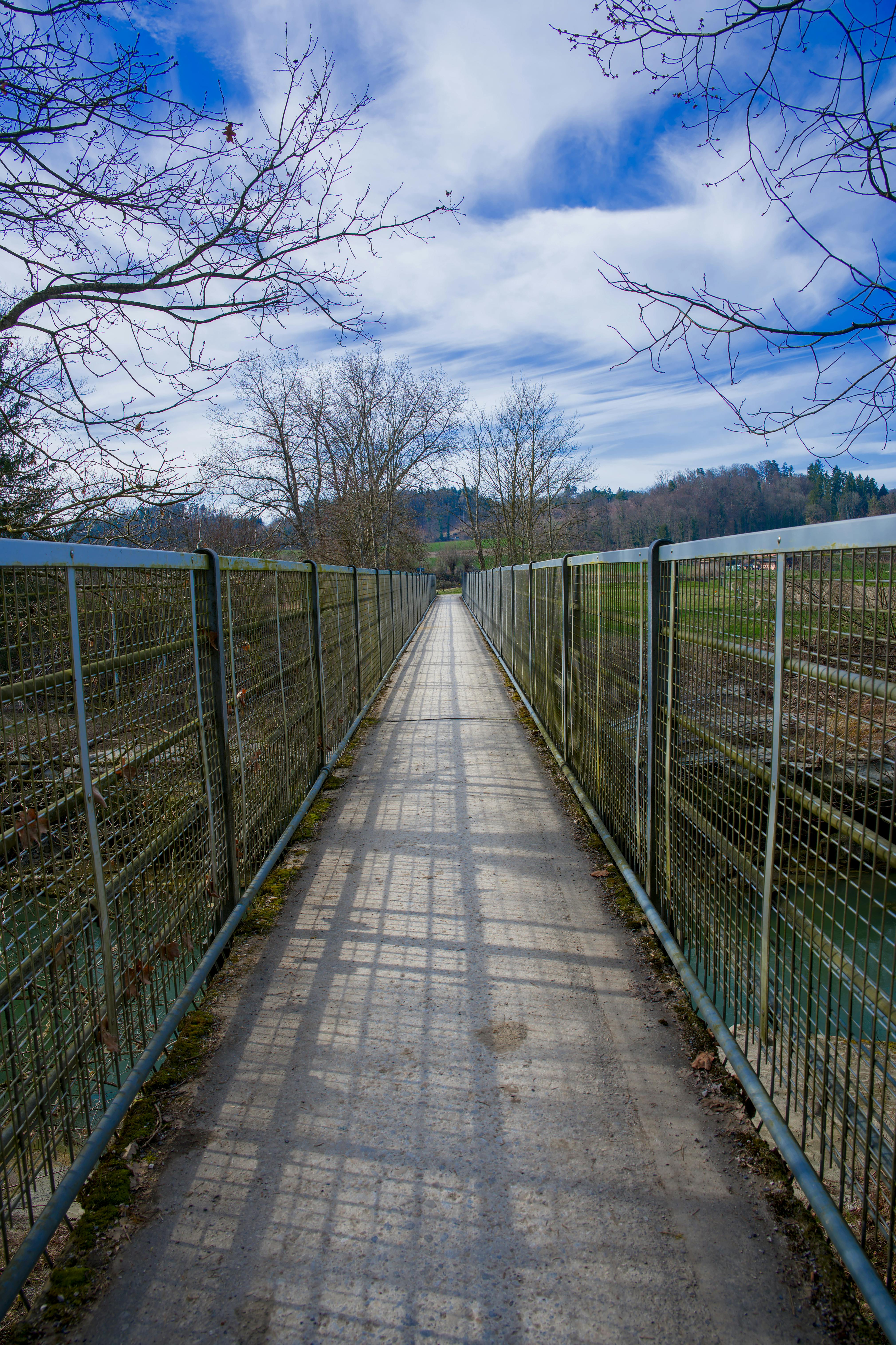 Wooden suspension footbridge through autumn forest · Free Stock Photo