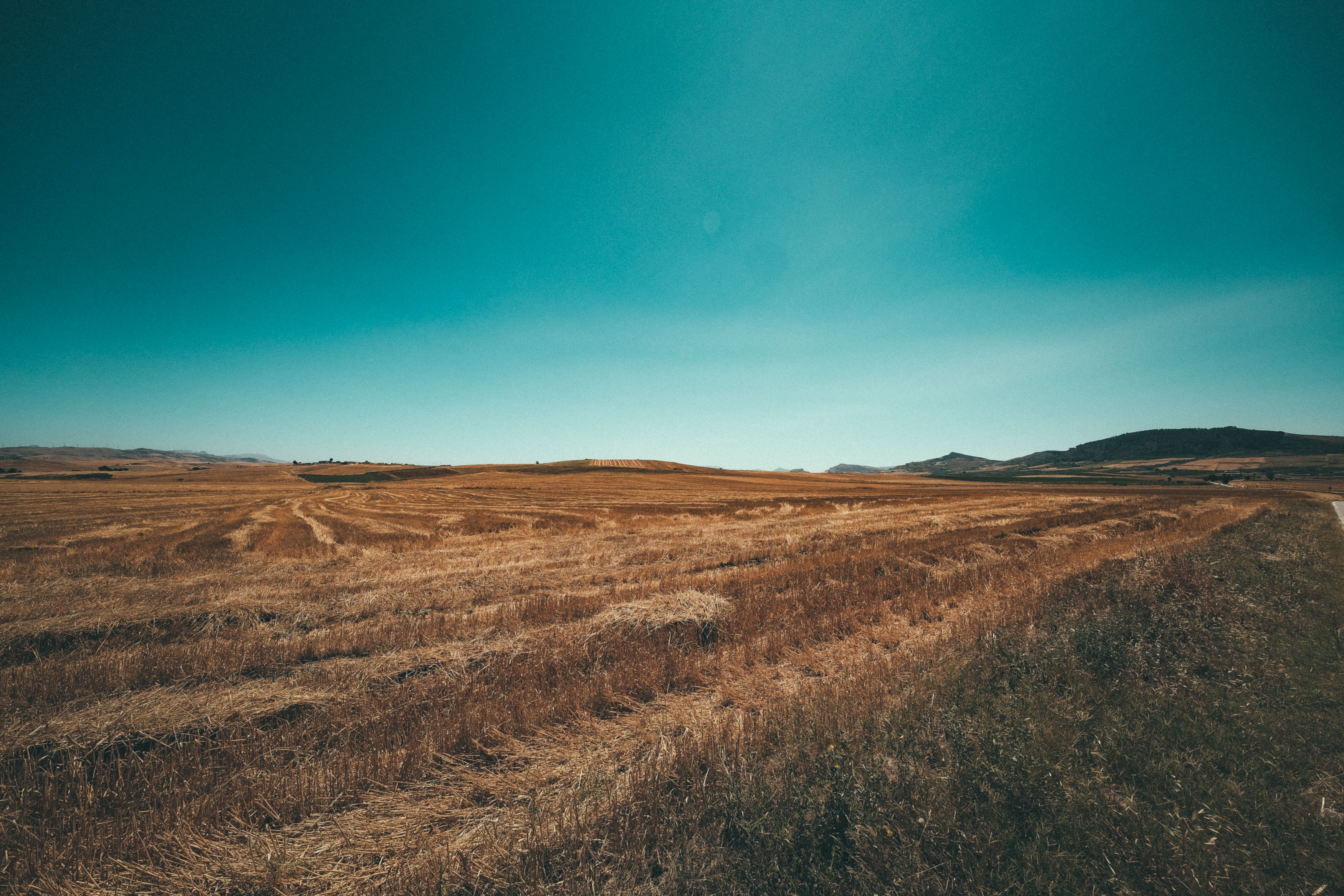 Clear Sky over Grassland on Plains · Free Stock Photo
