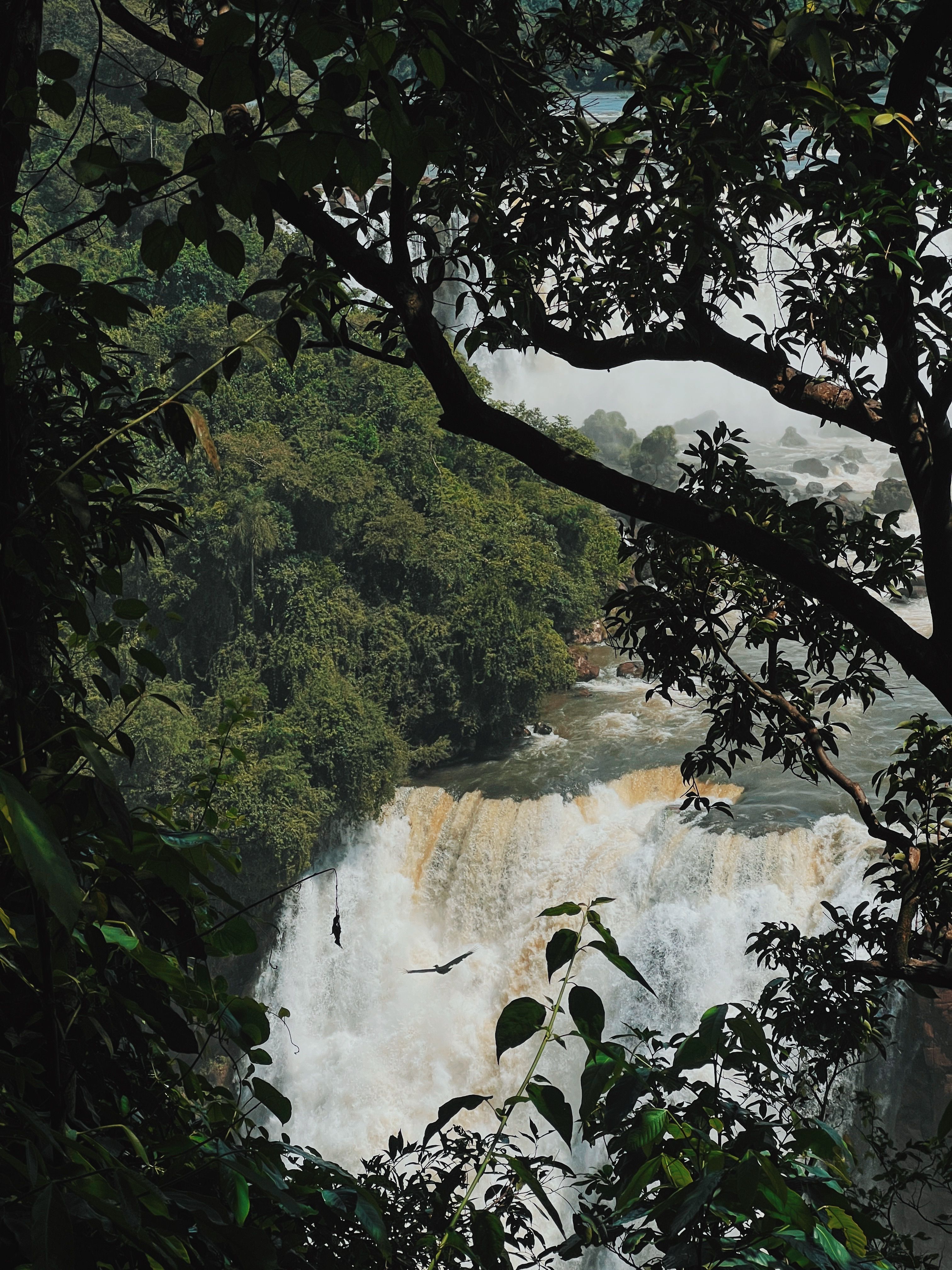 Waterfall in Brazilian Rainforest · Free Stock Photo
