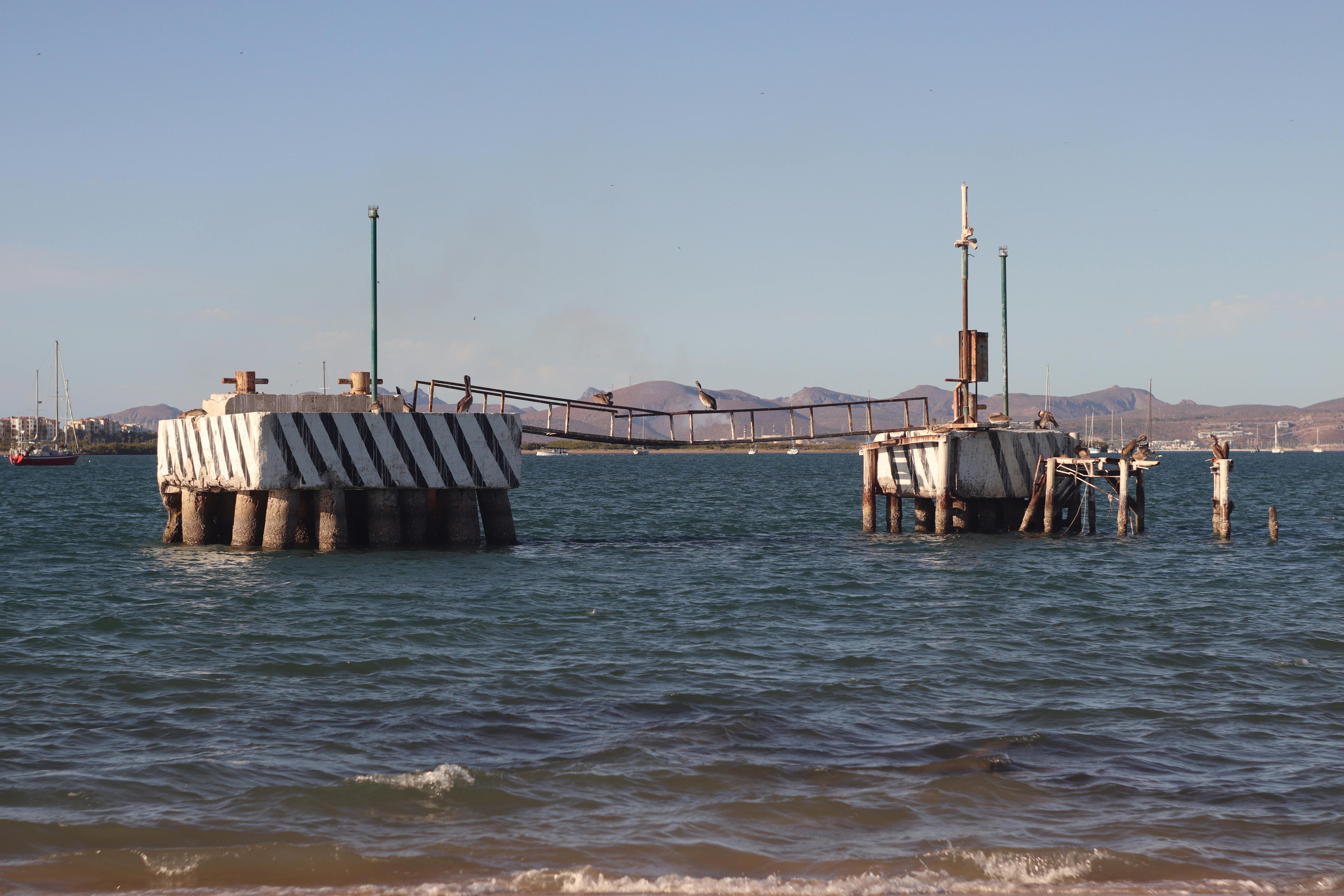Birds Perching on a Concrete Structures in a Dock · Free Stock Photo