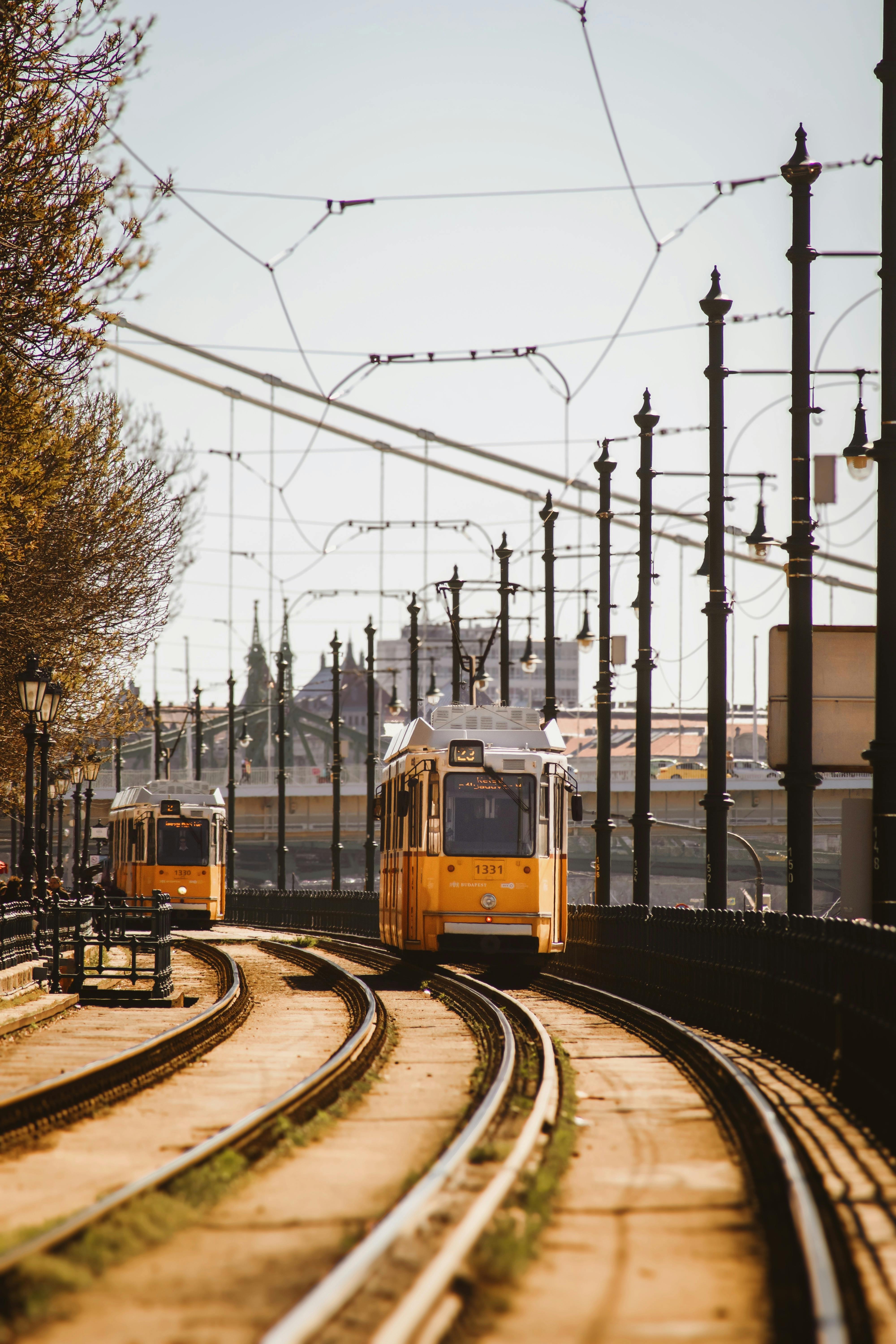 1+ Million Royalty Free Images · Pexels