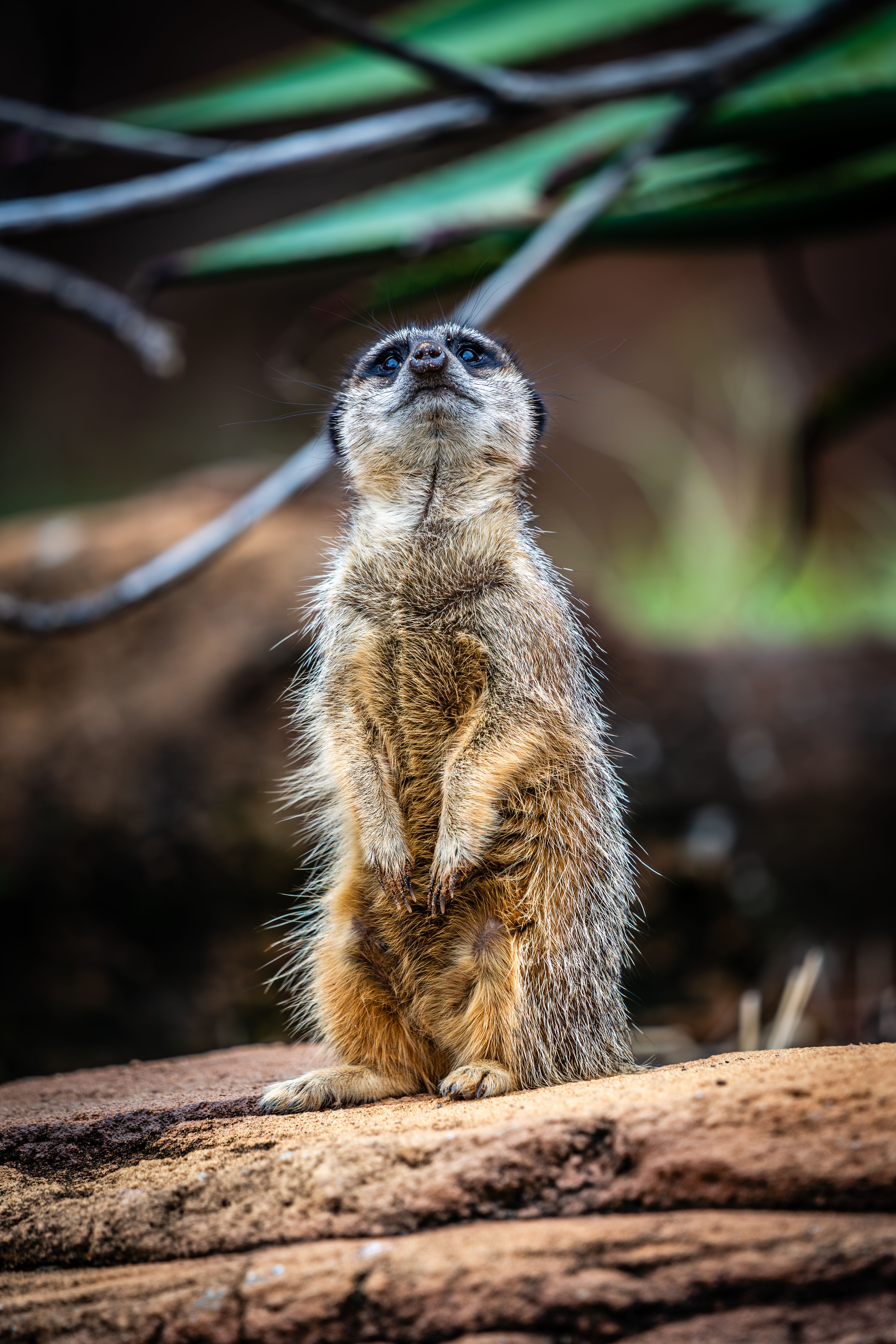 Sub Alert Photos, Download The BEST Free Sub Alert Stock Photos & HD Images
