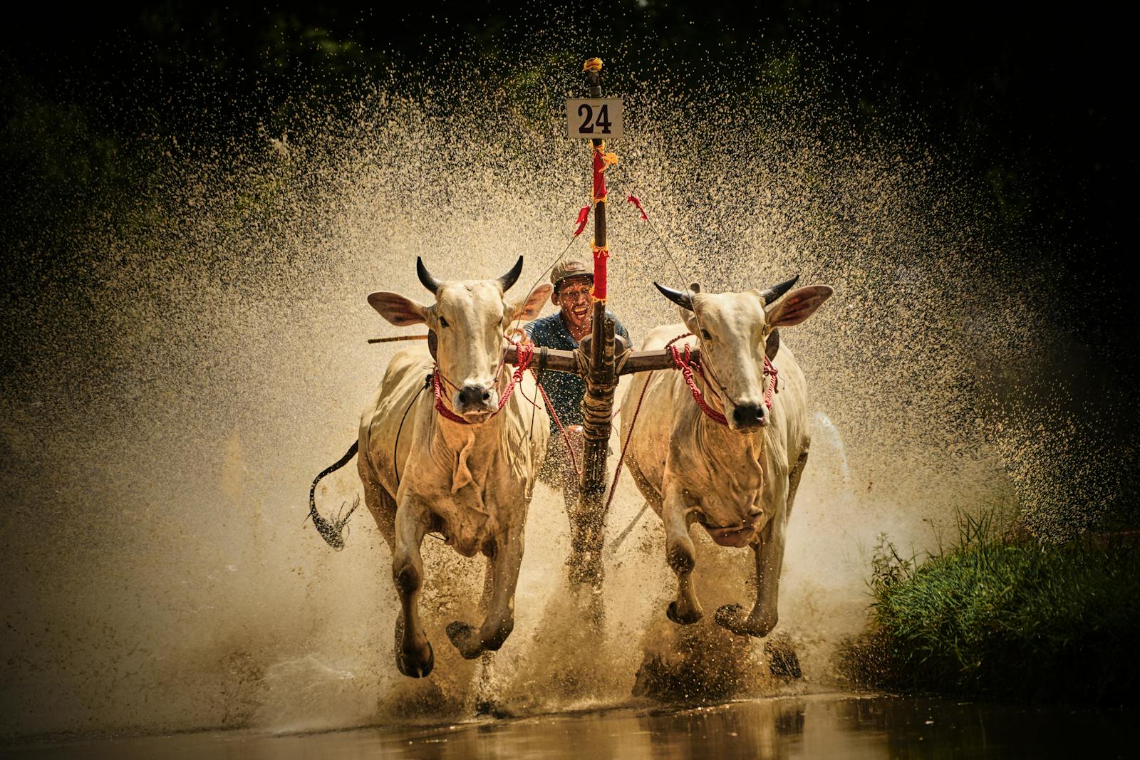 Batam Indonesia Photos, Download The BEST Free Batam Indonesia Stock ...