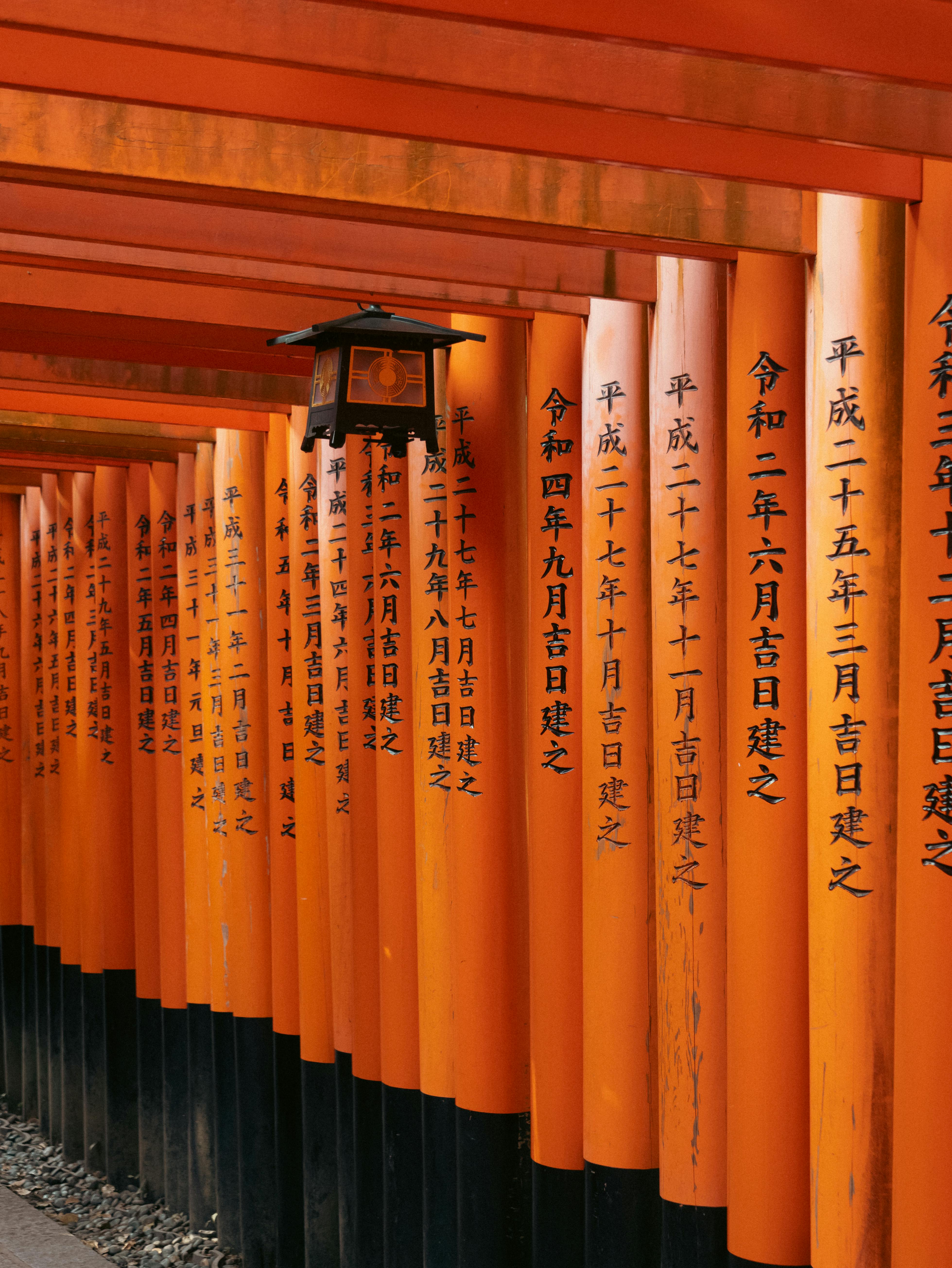 A row of orange tori gates with chinese writing · Free Stock Photo