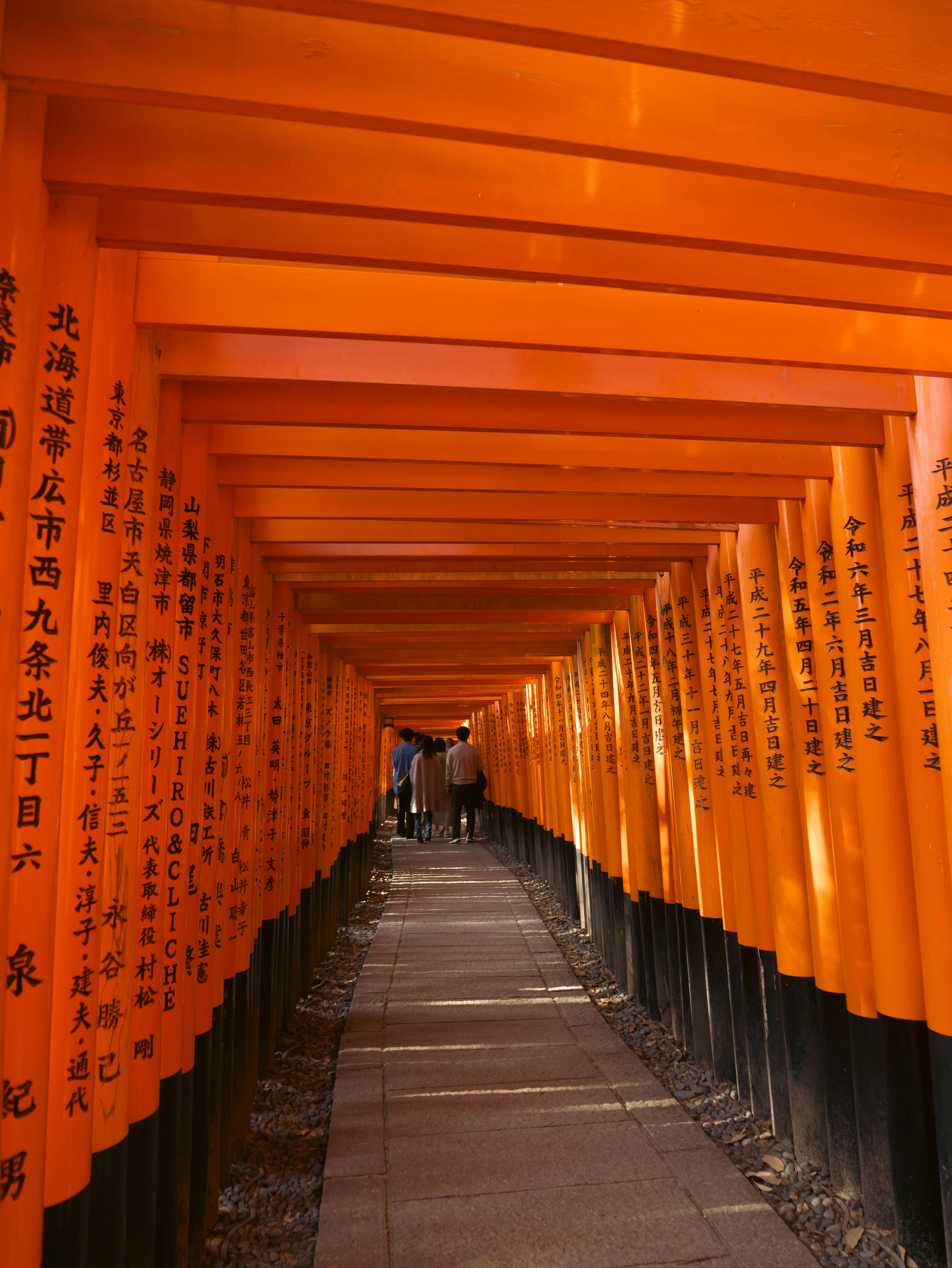 Tien Nguyen - Photography