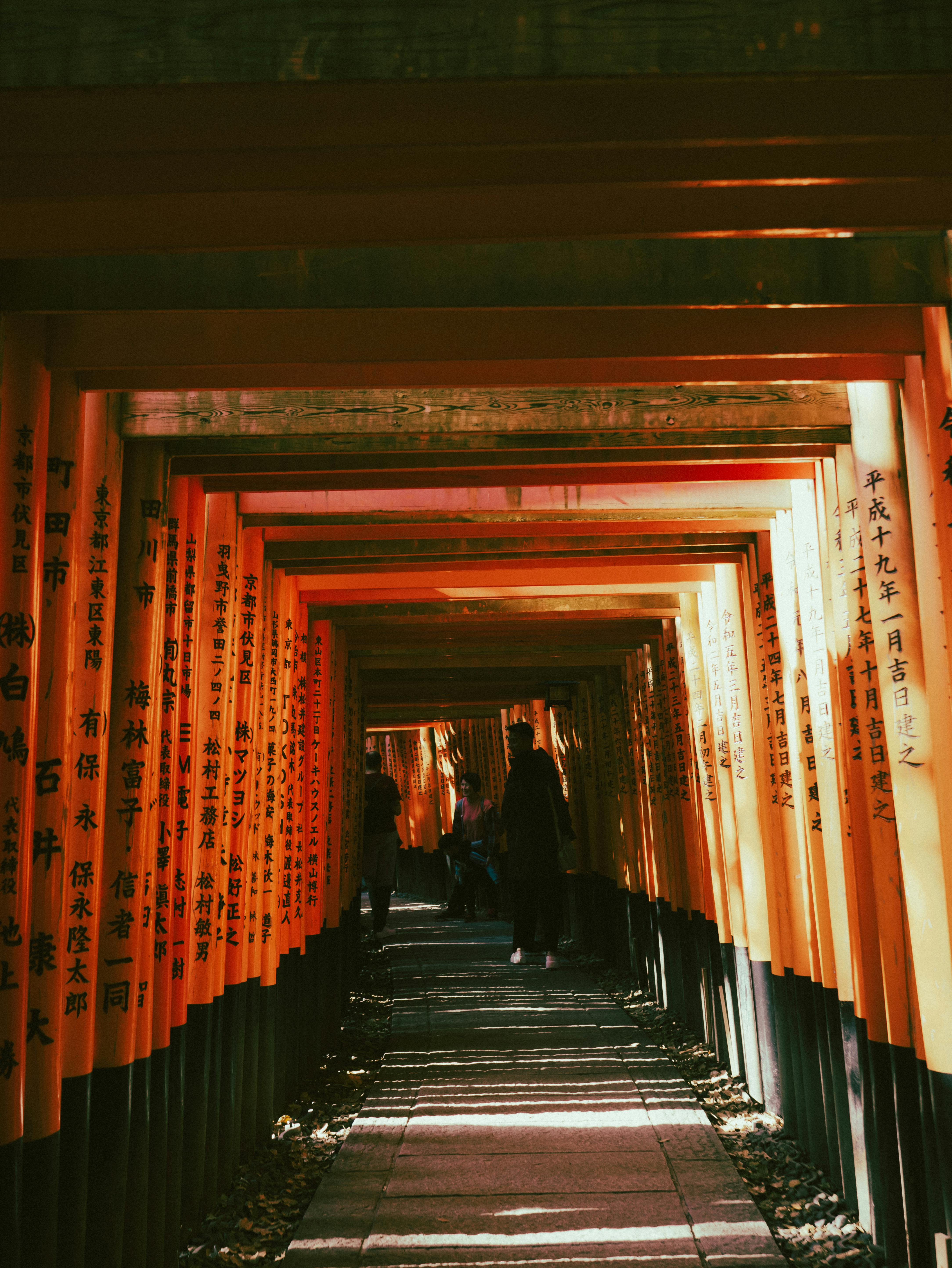 Tunnel with Orange Torii Gates on the Side · Free Stock Photo