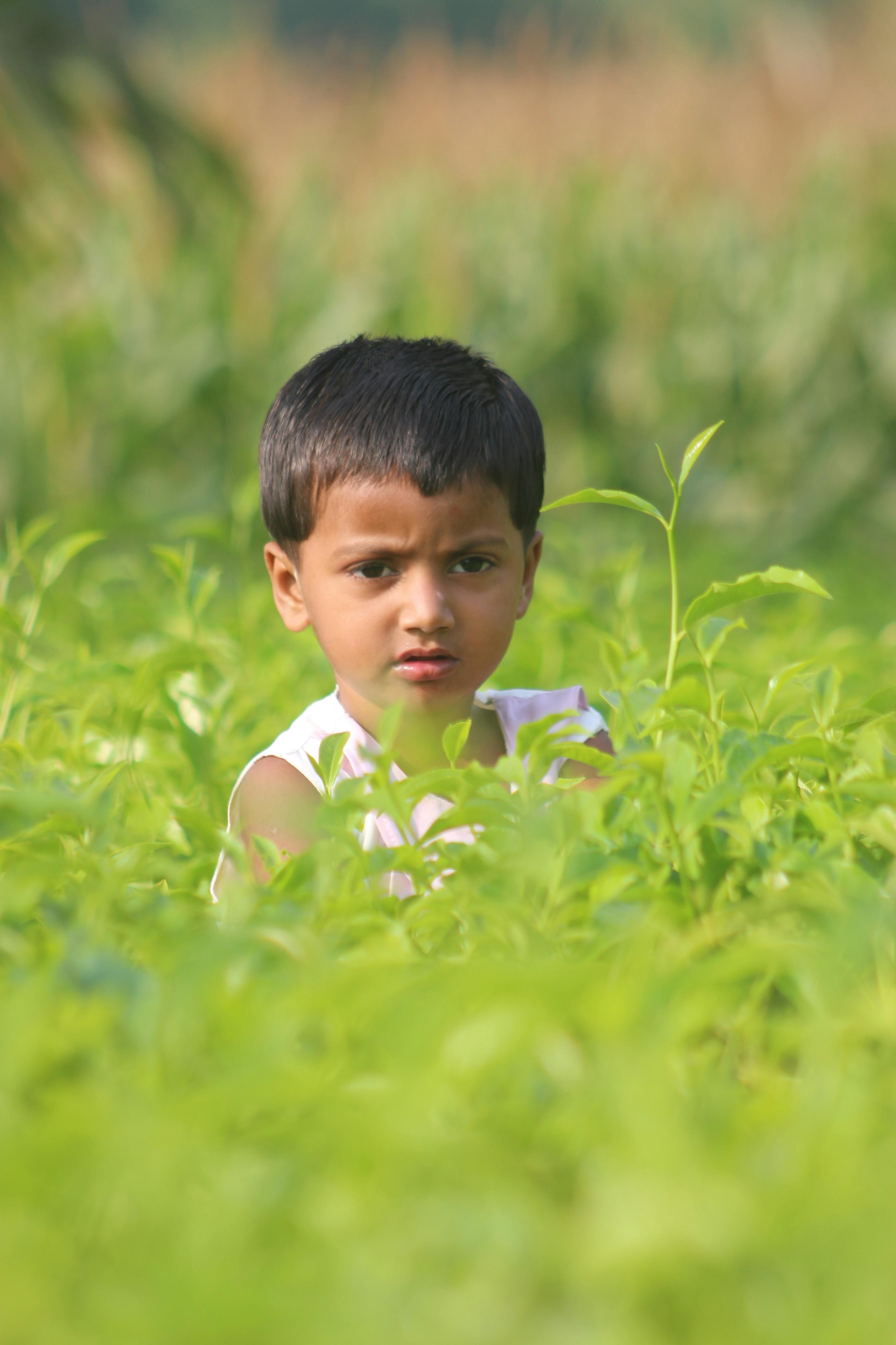 Farm Innovation Photos, Download The BEST Free Farm Innovation Stock ...
