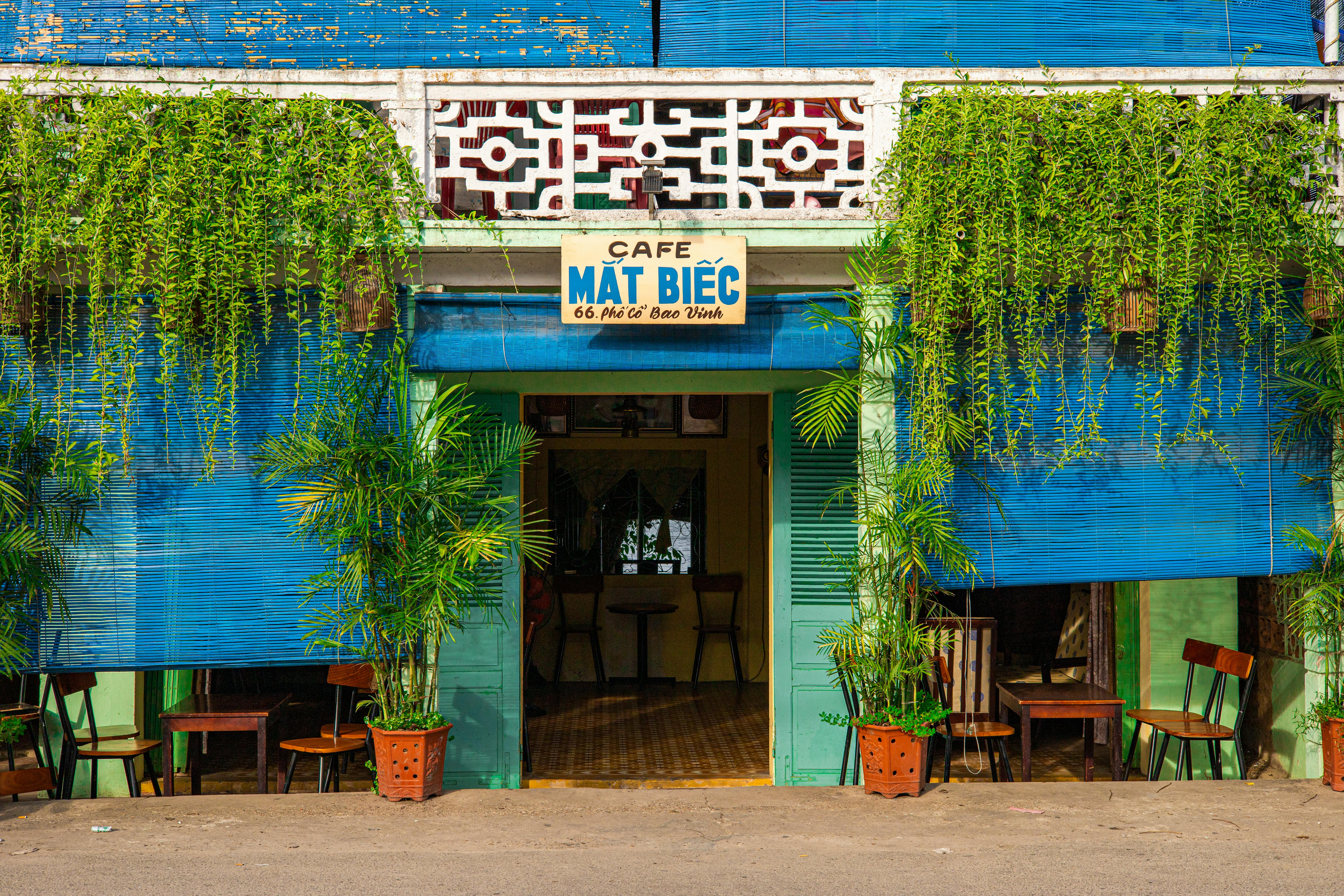 Plants around Cafe Entrance · Free Stock Photo