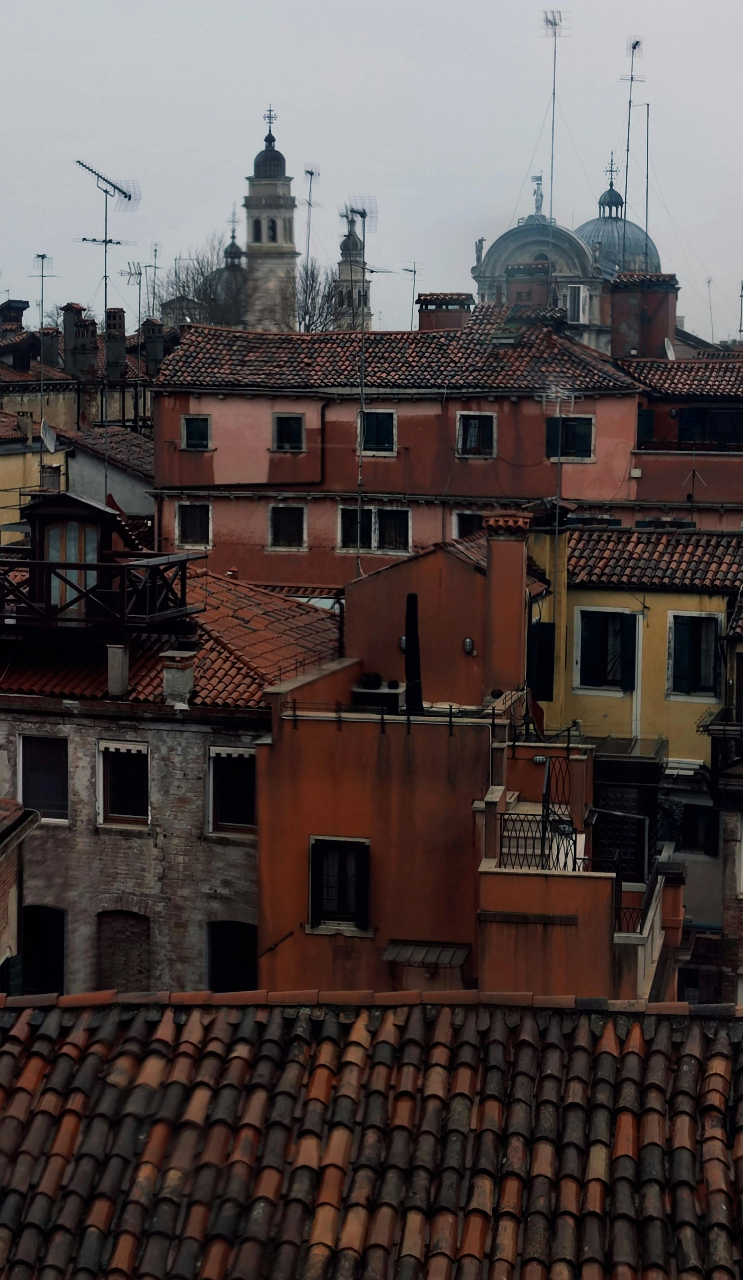 ana simona bevecz - Photography