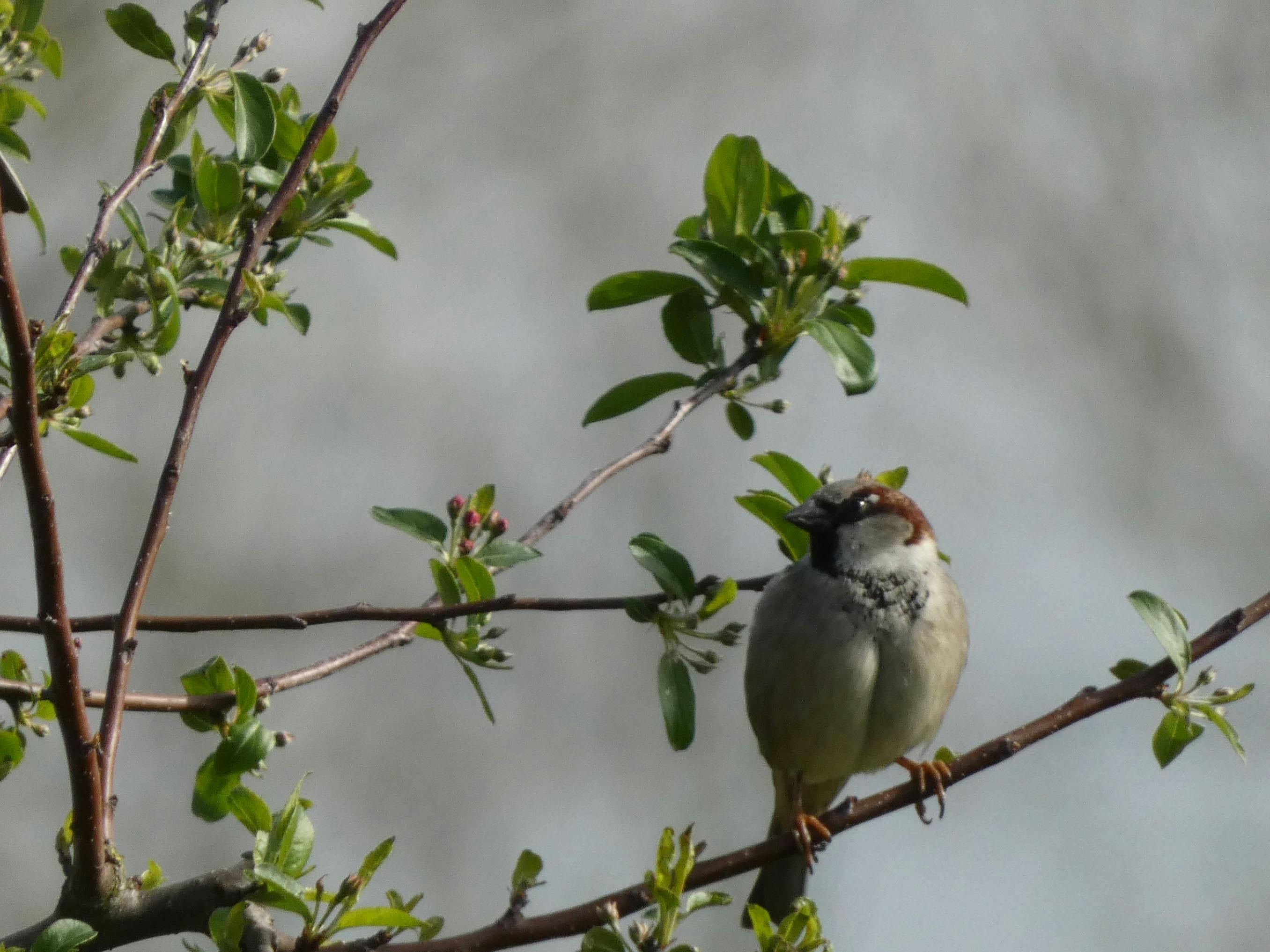 Jelle Jacobs - Photography