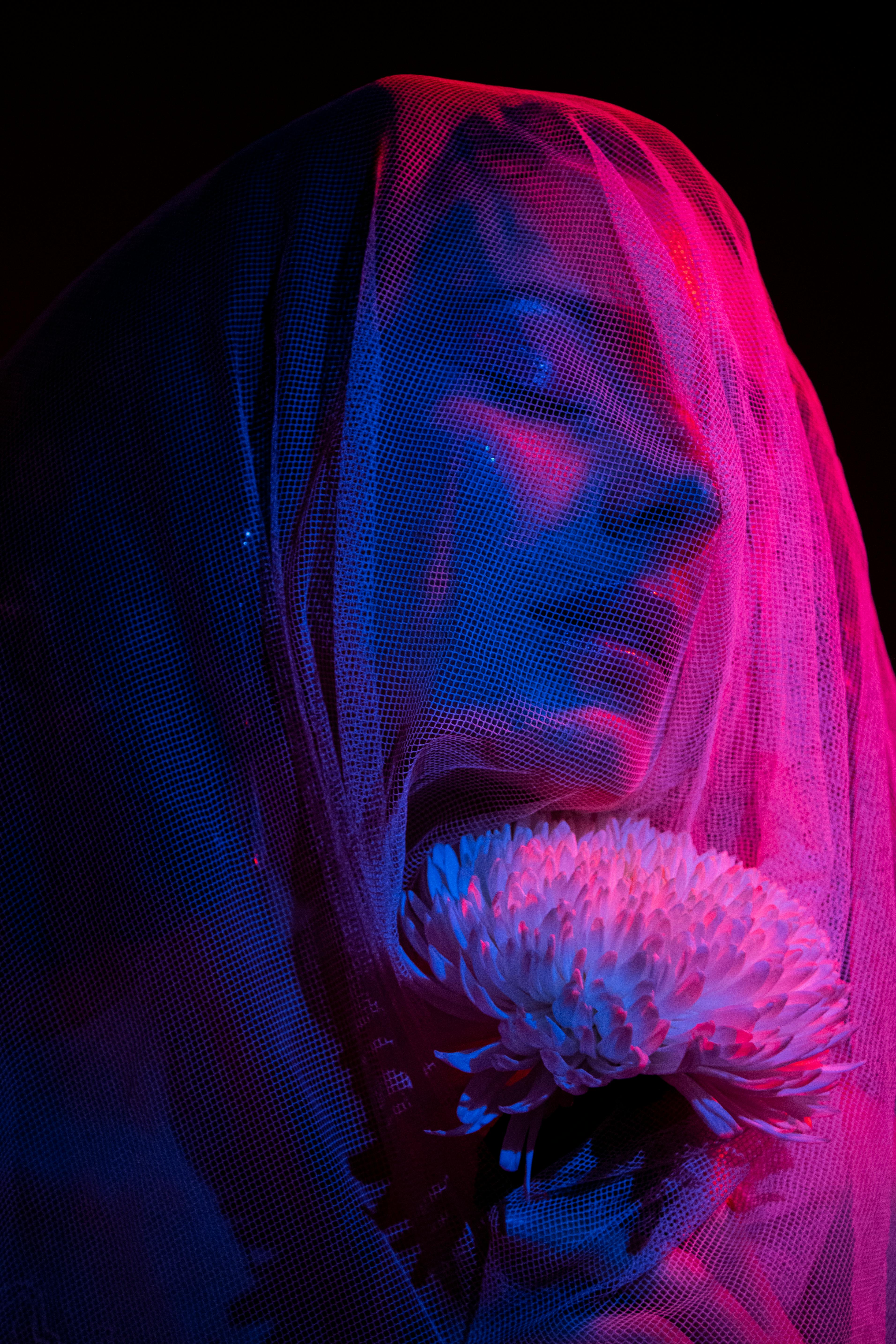 Performer in Veil with Flower · Free Stock Photo