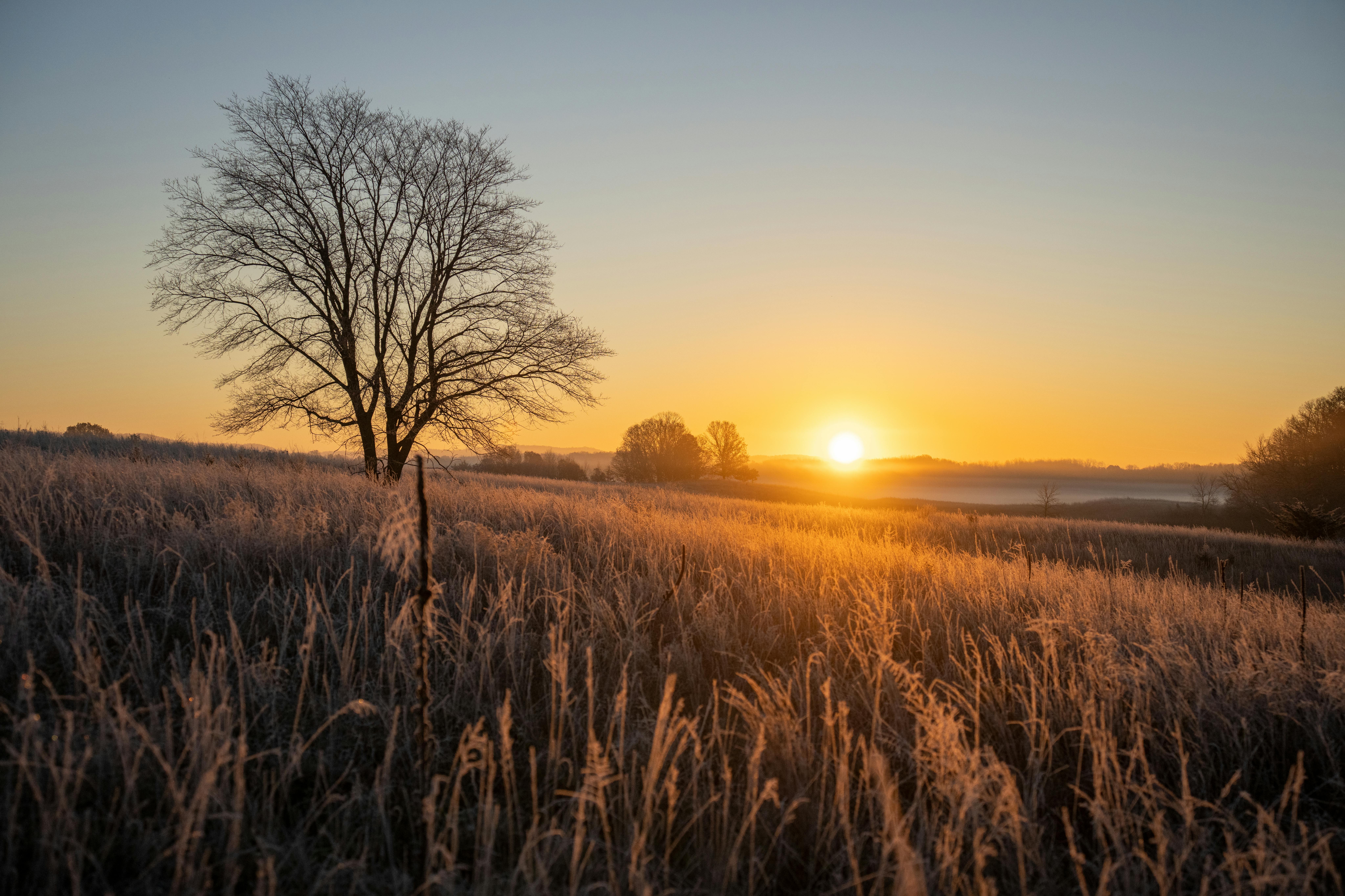 Countryside at Sunset · Free Stock Photo