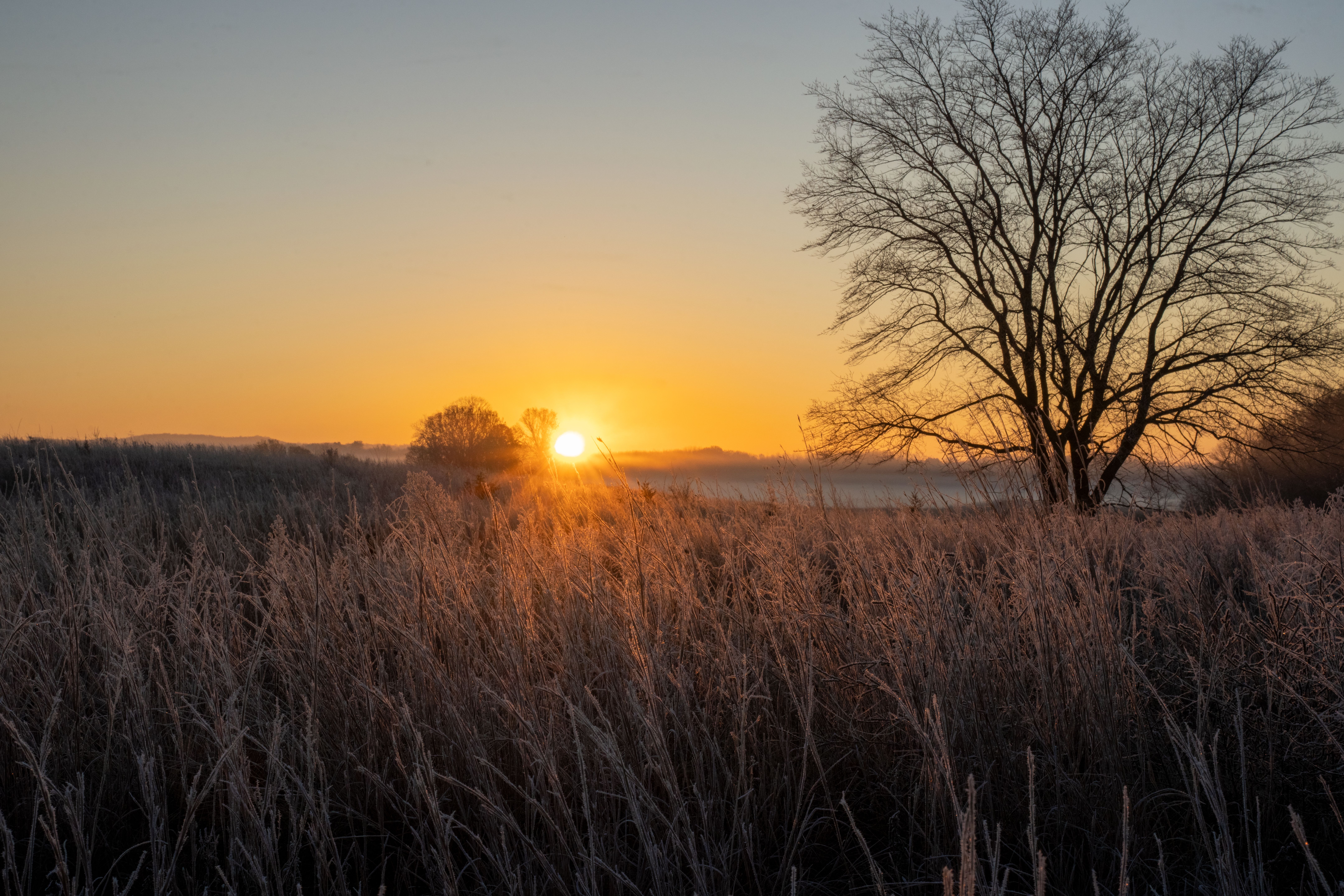 Field in Countryside at Sunset · Free Stock Photo
