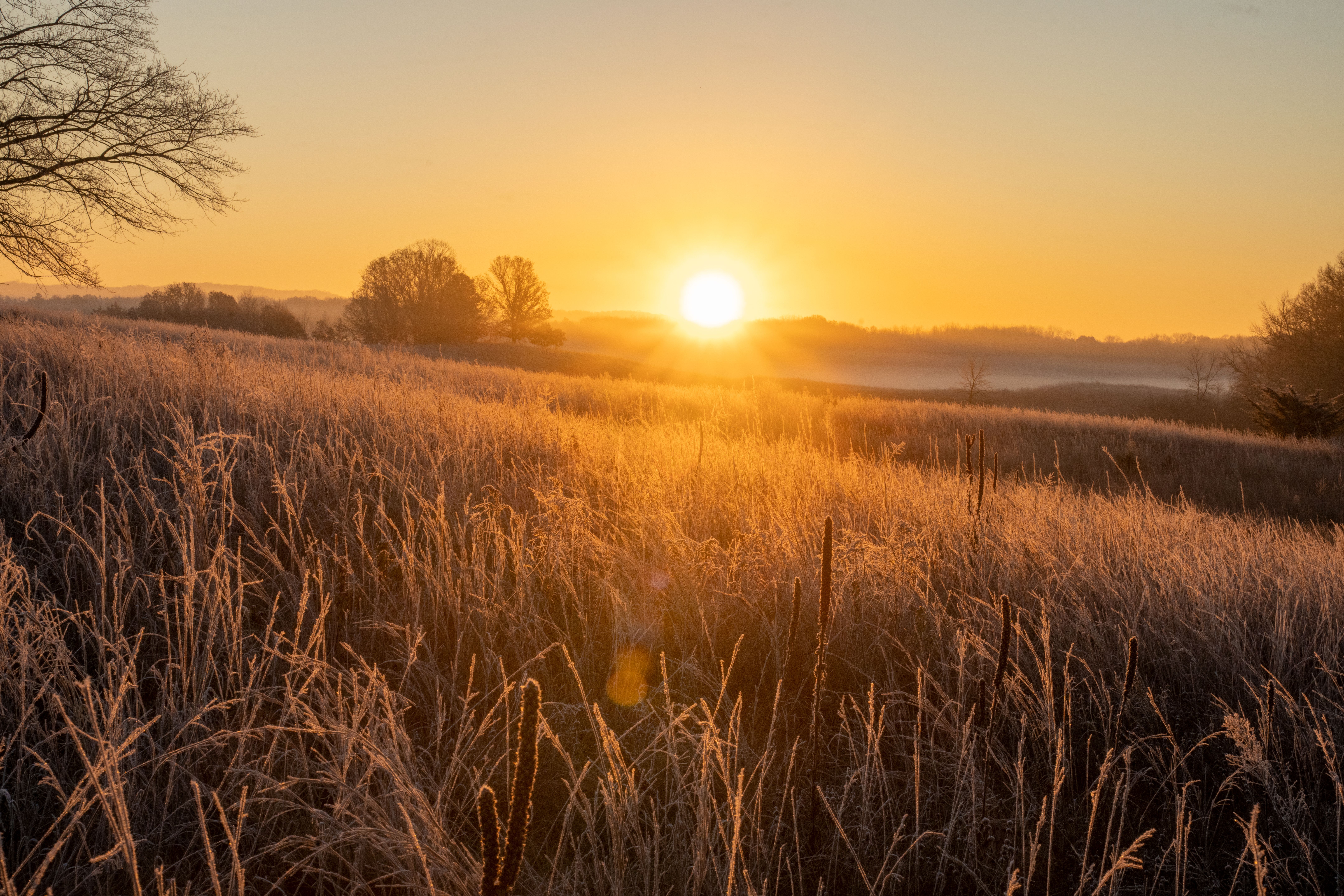 Countryside at Dawn · Free Stock Photo
