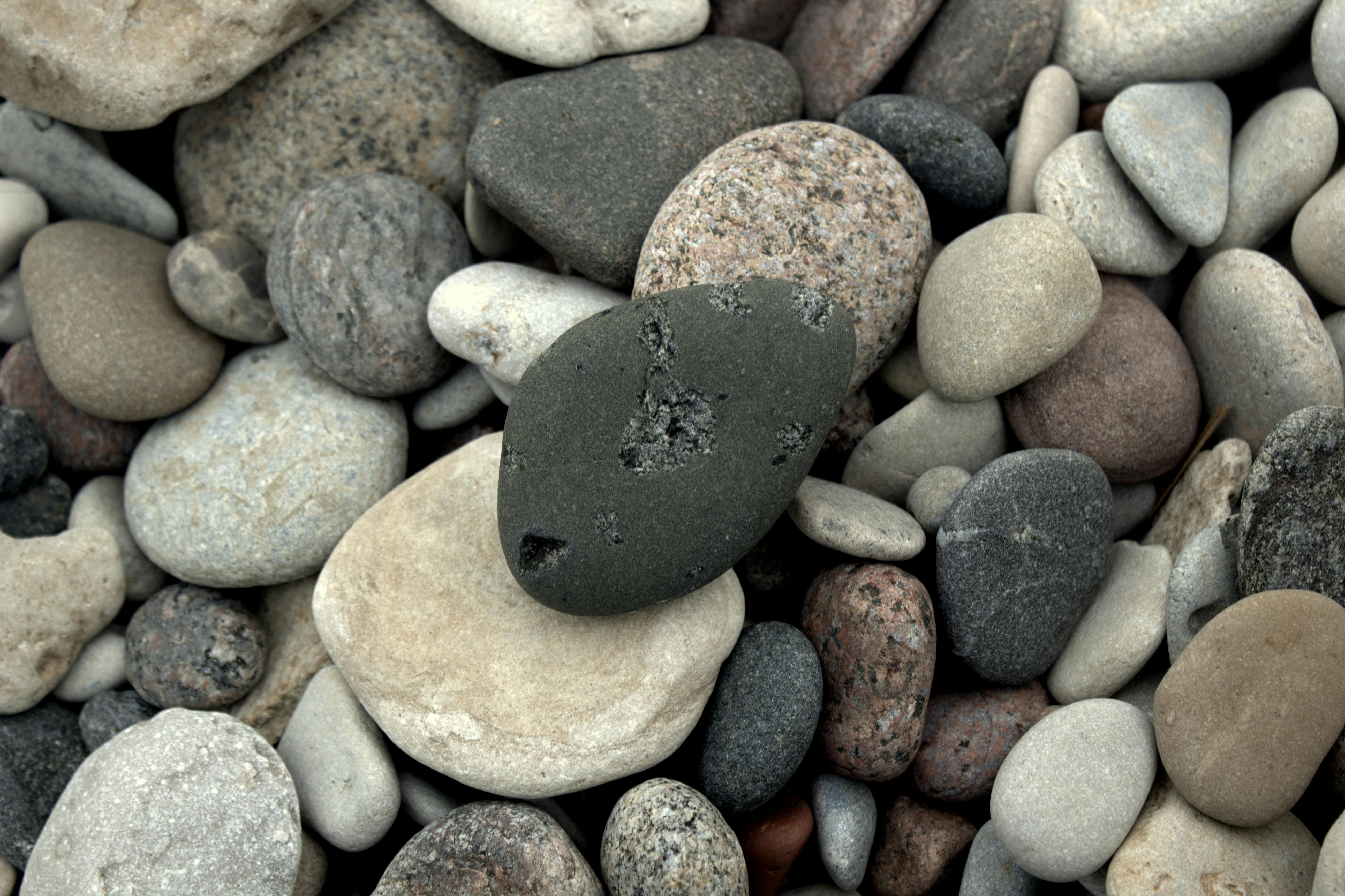 A close up of a rock and pebbles · Free Stock Photo