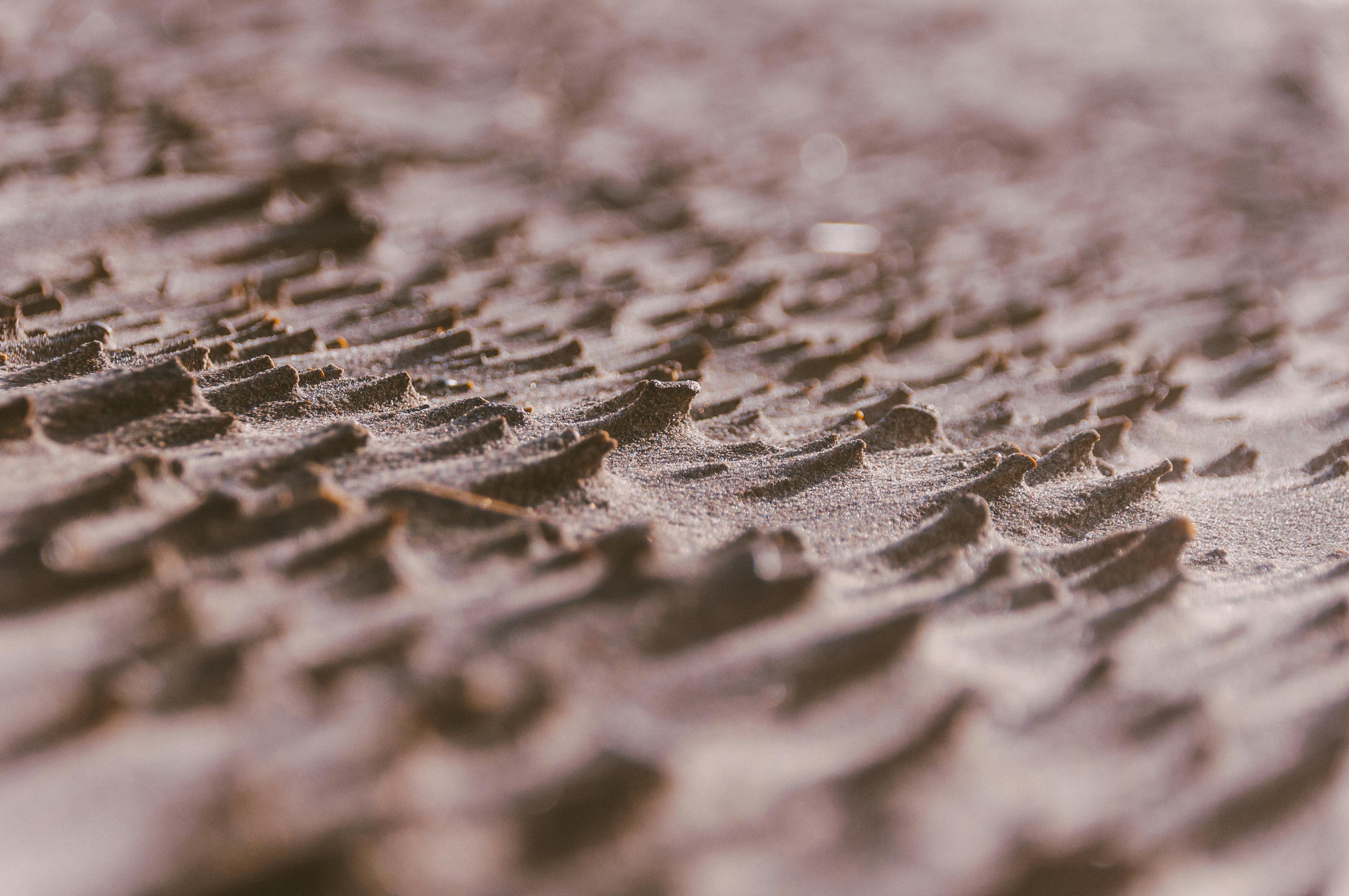 Italian Pattern Photos, Download The BEST Free Italian Pattern Stock ...