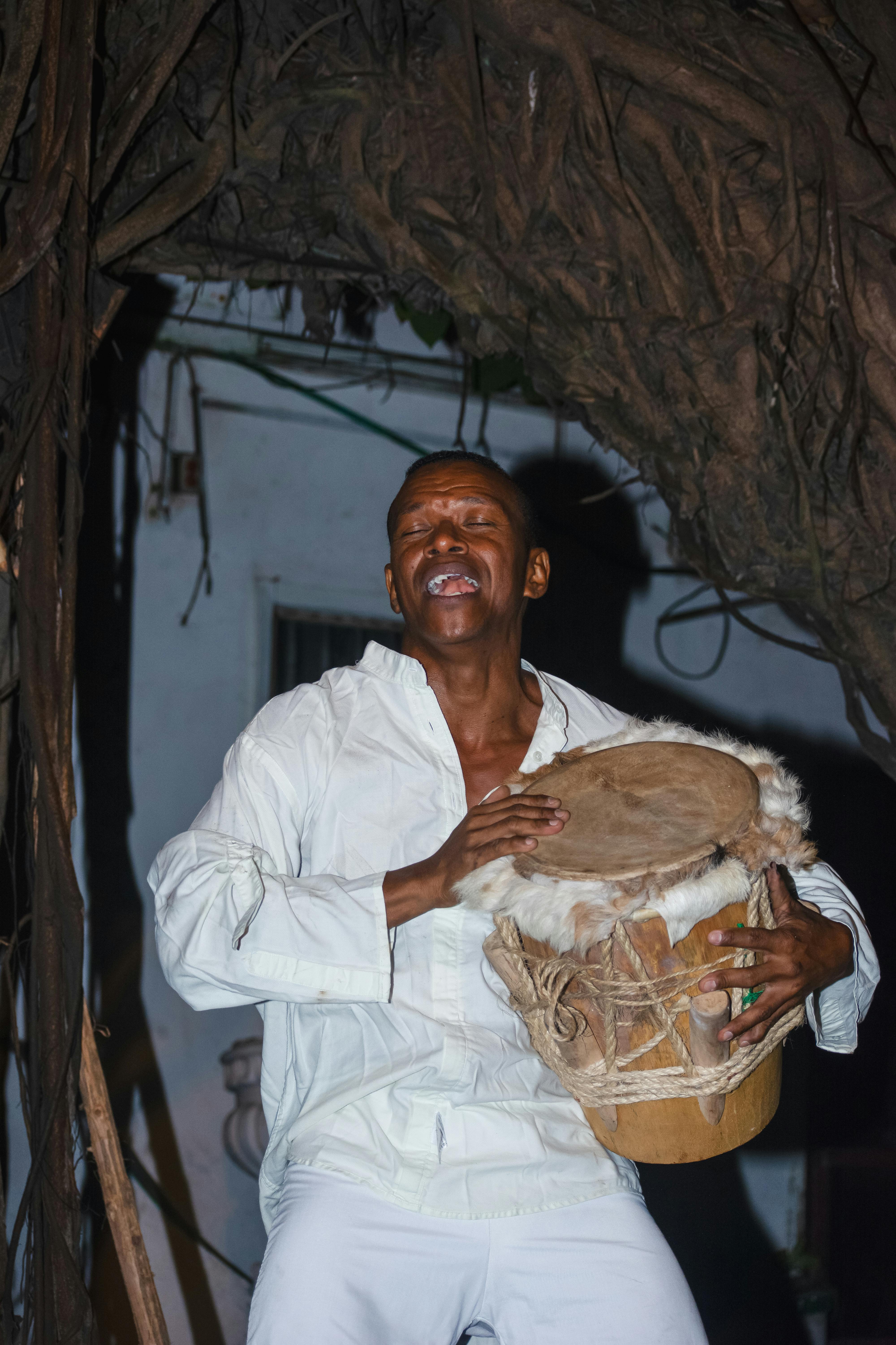 Singer Tree Photos, Download The BEST Free Singer Tree Stock Photos ...