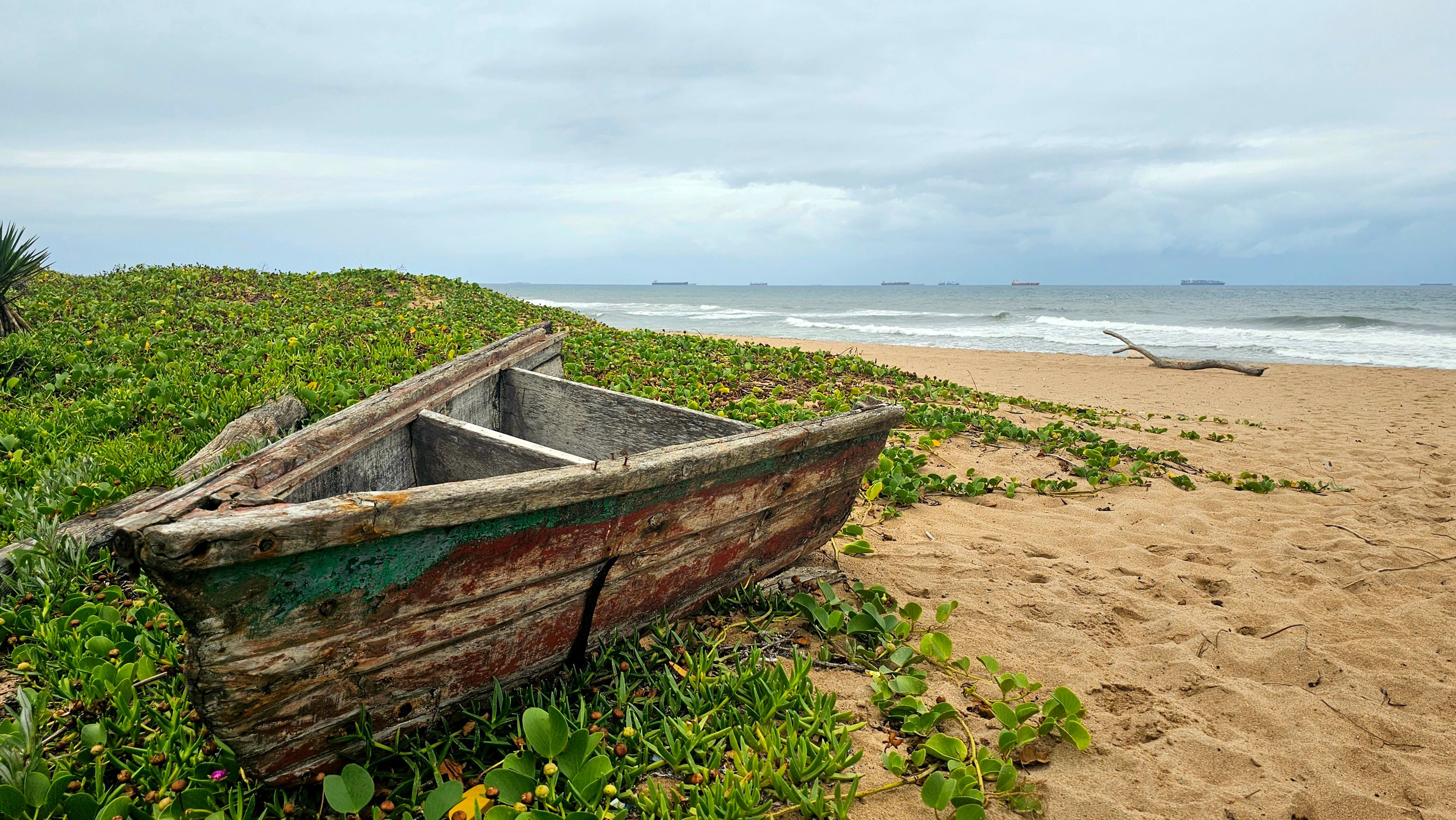 A boat on the beach · Free Stock Photo