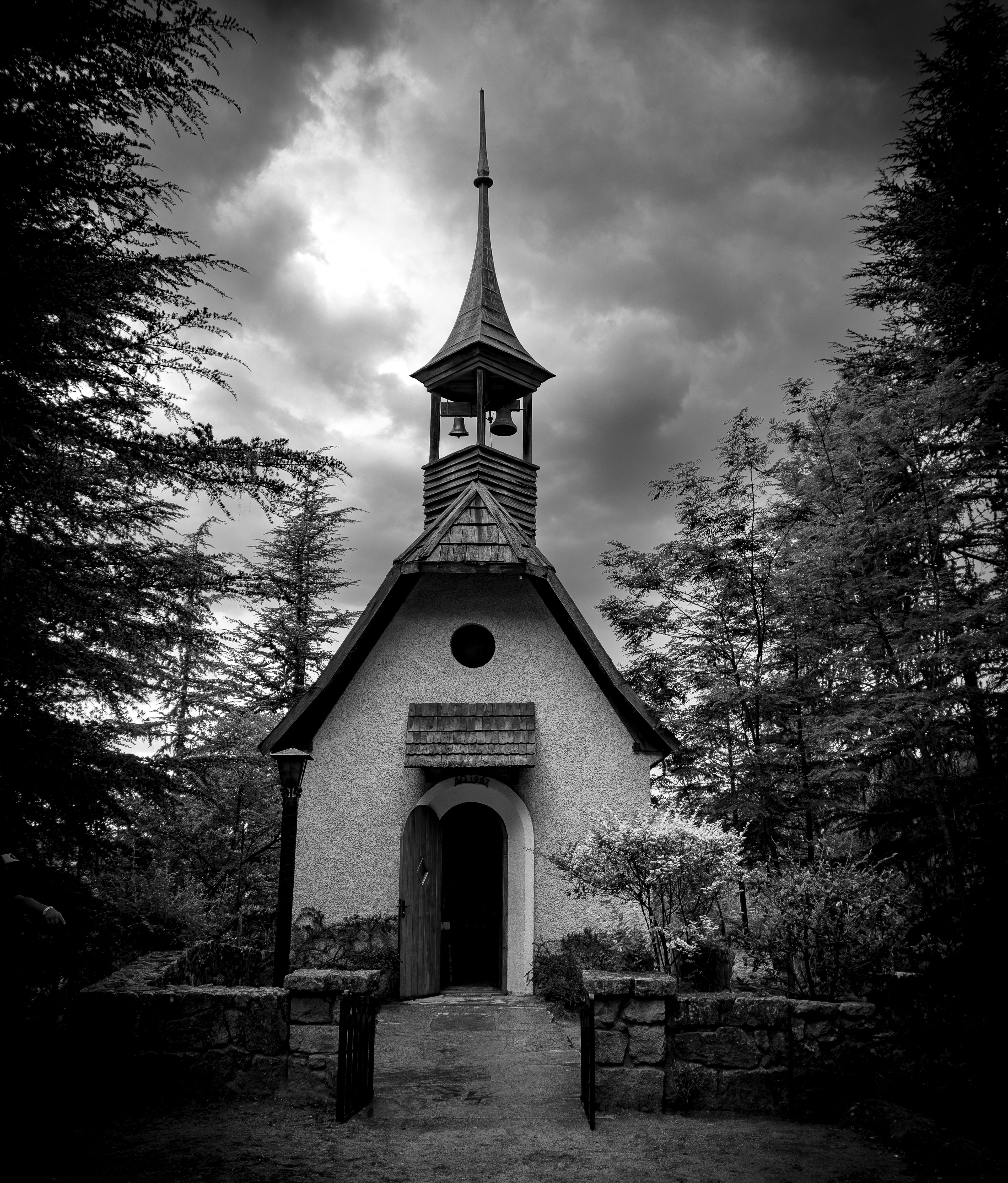 Trees around Church in Black and White · Free Stock Photo