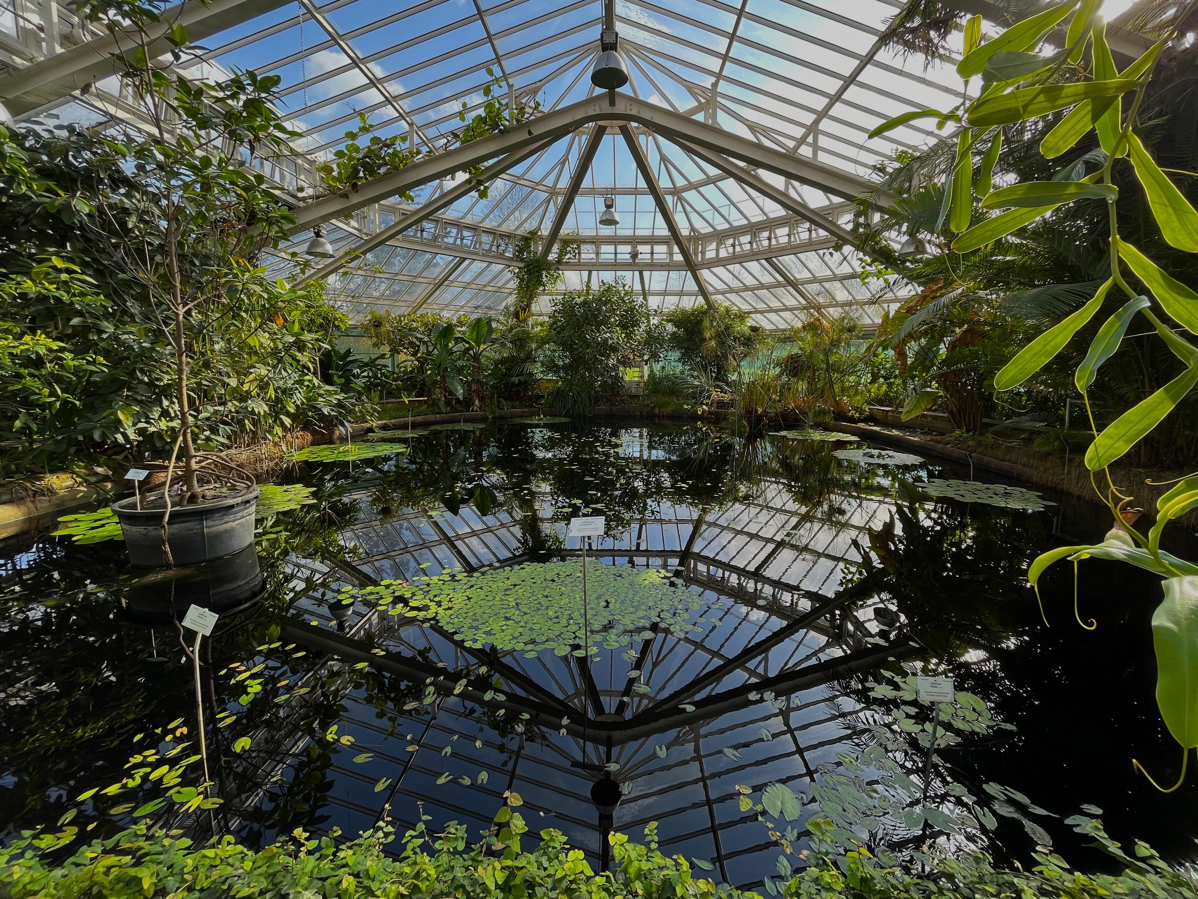 Interior of a Green House With a Pond · Free Stock Photo