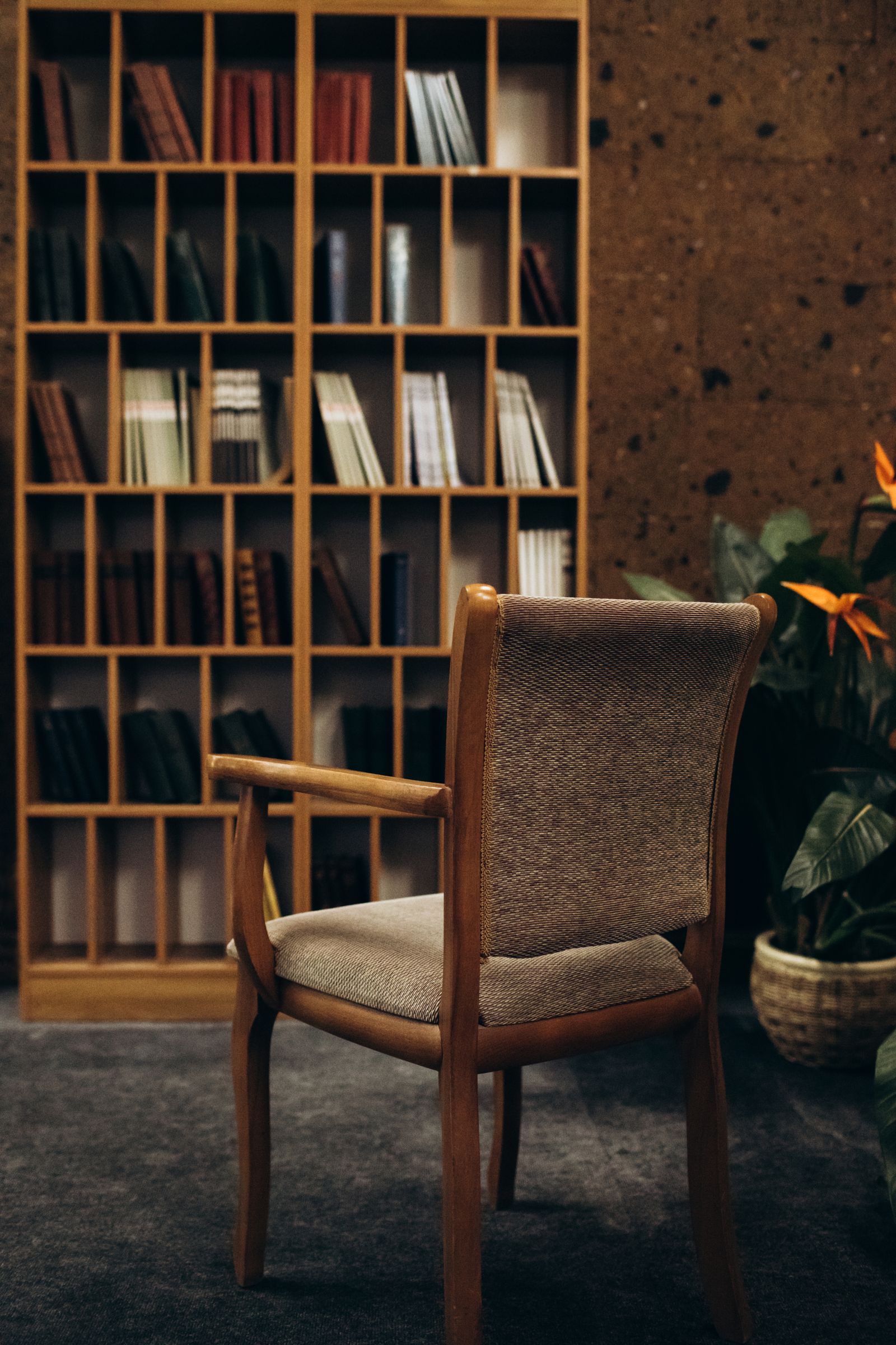 Library Aesthetics Photos, Download The BEST Free Library Aesthetics ...