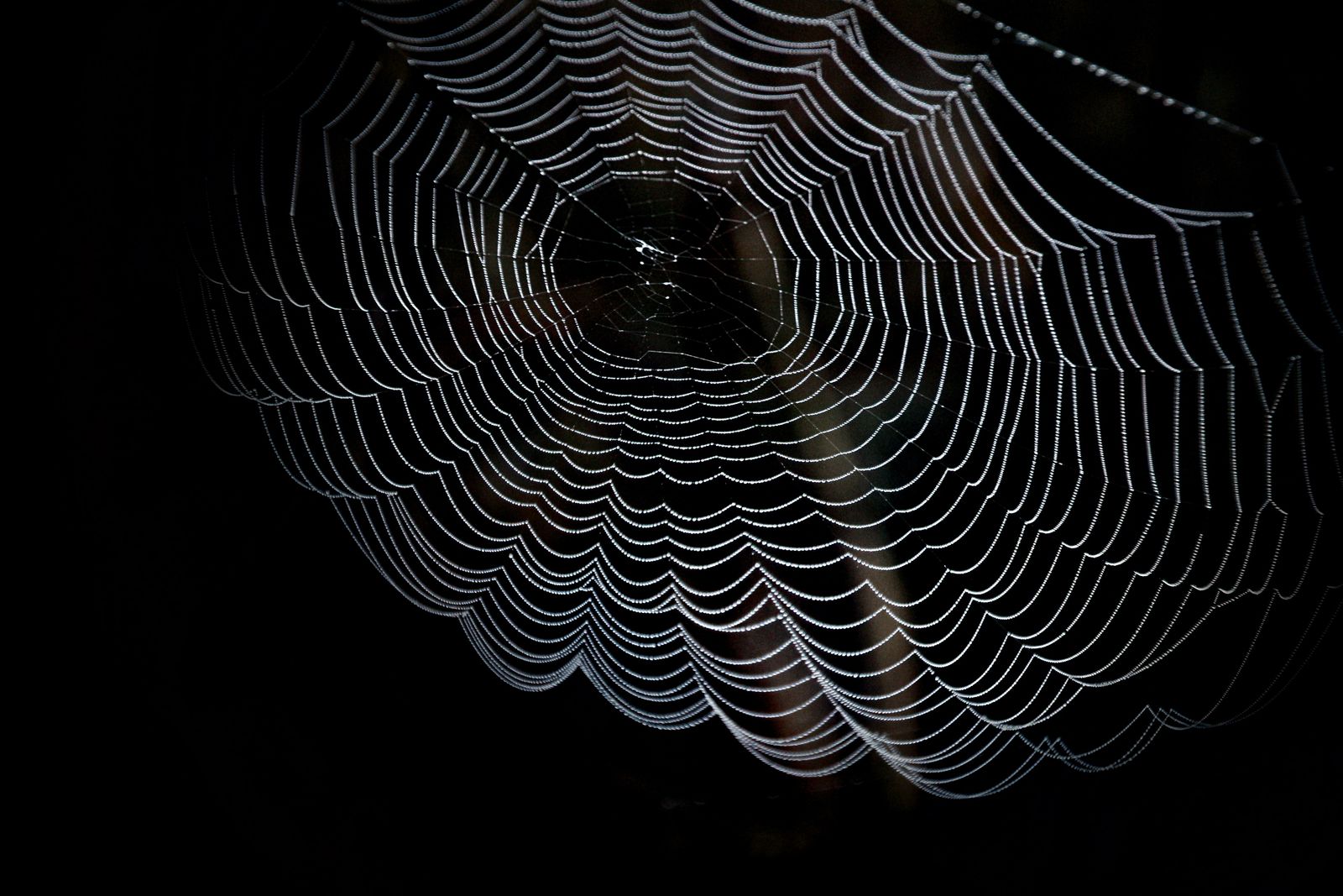 Dark Web Photos, Download The BEST Free Dark Web Stock Photos & HD Images