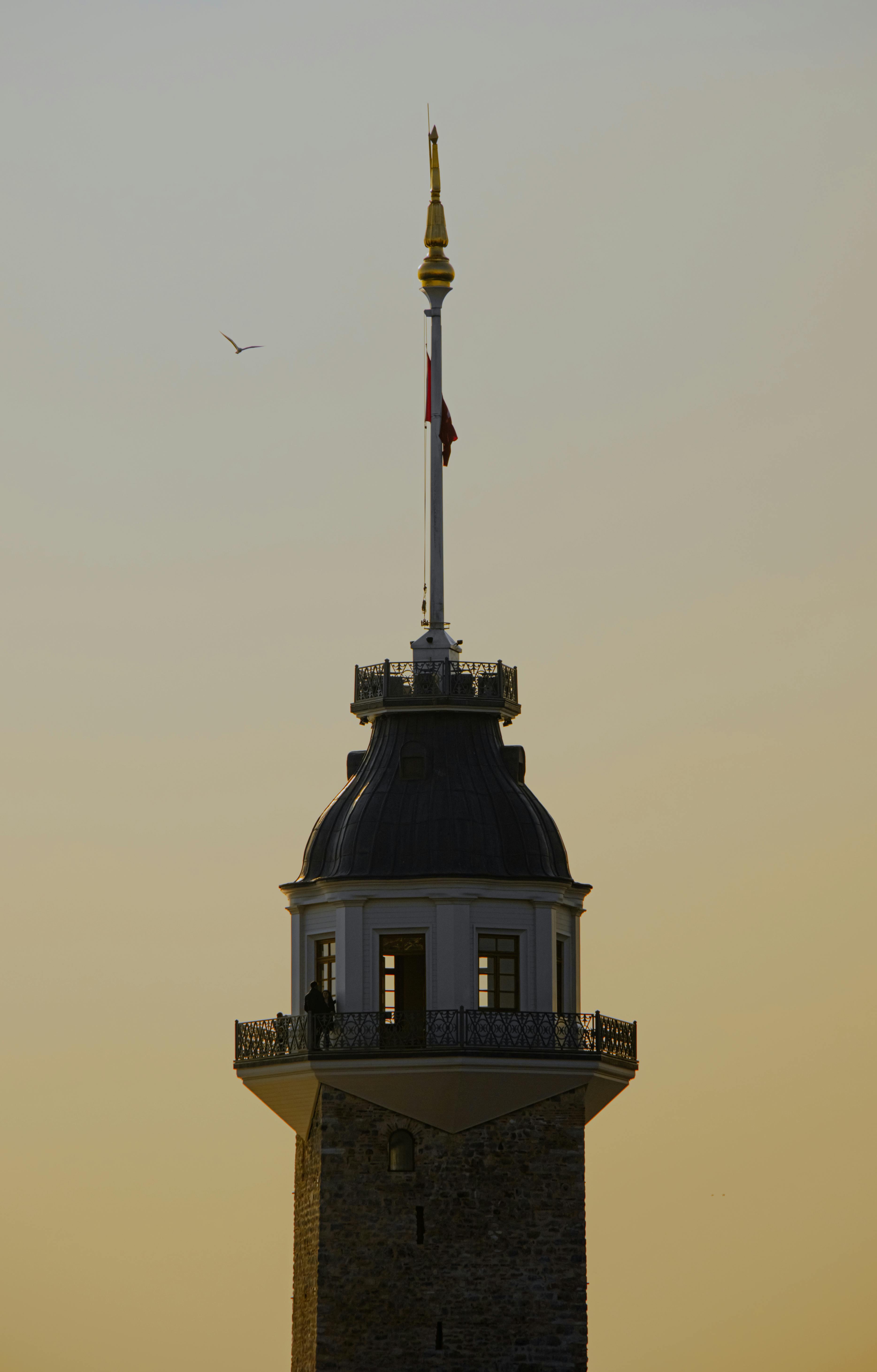 Top Students Photos, Download The BEST Free Top Students Stock Photos ...