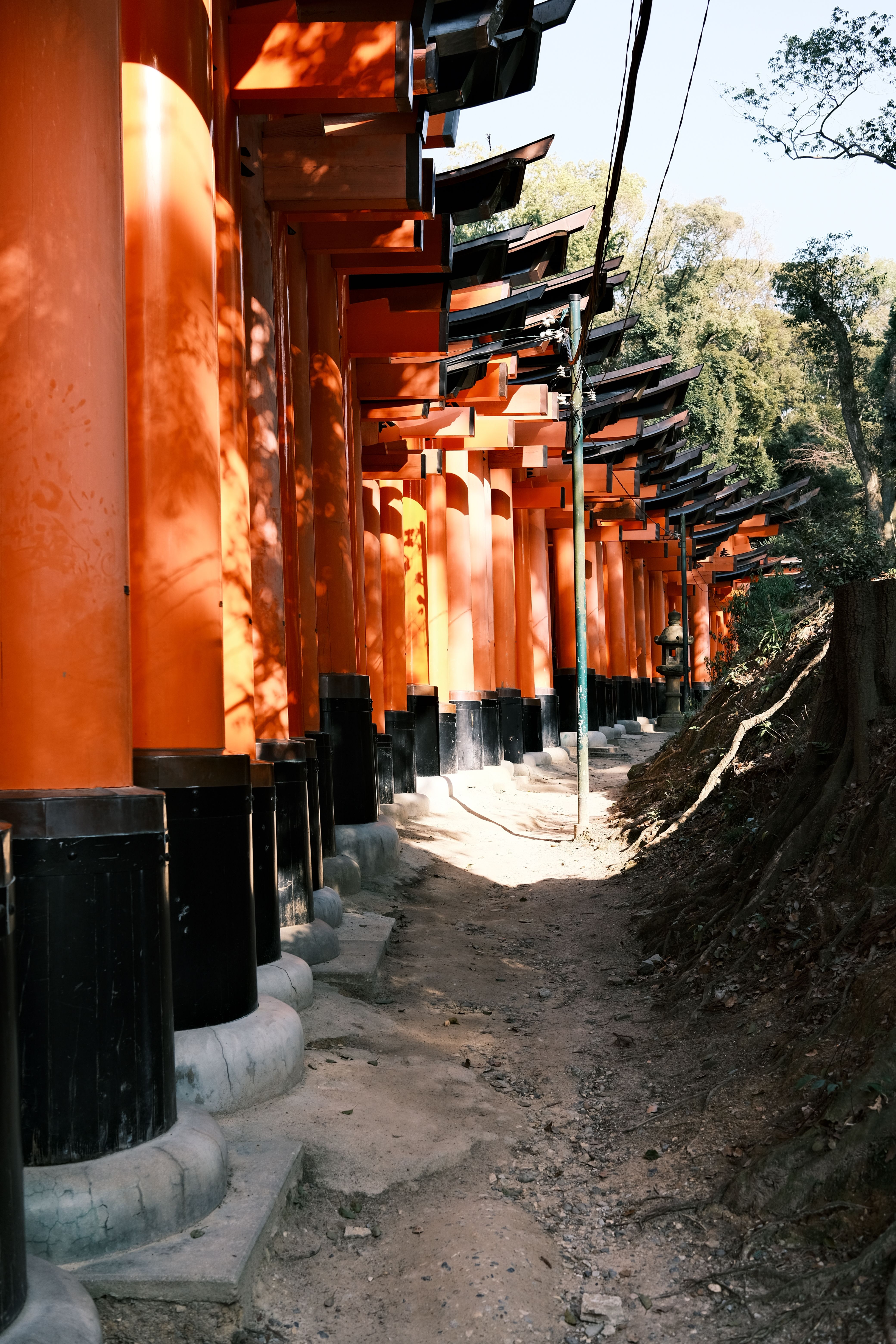 Pillars and Wall of Fushimi Inari-taisha in Japan · Free Stock Photo