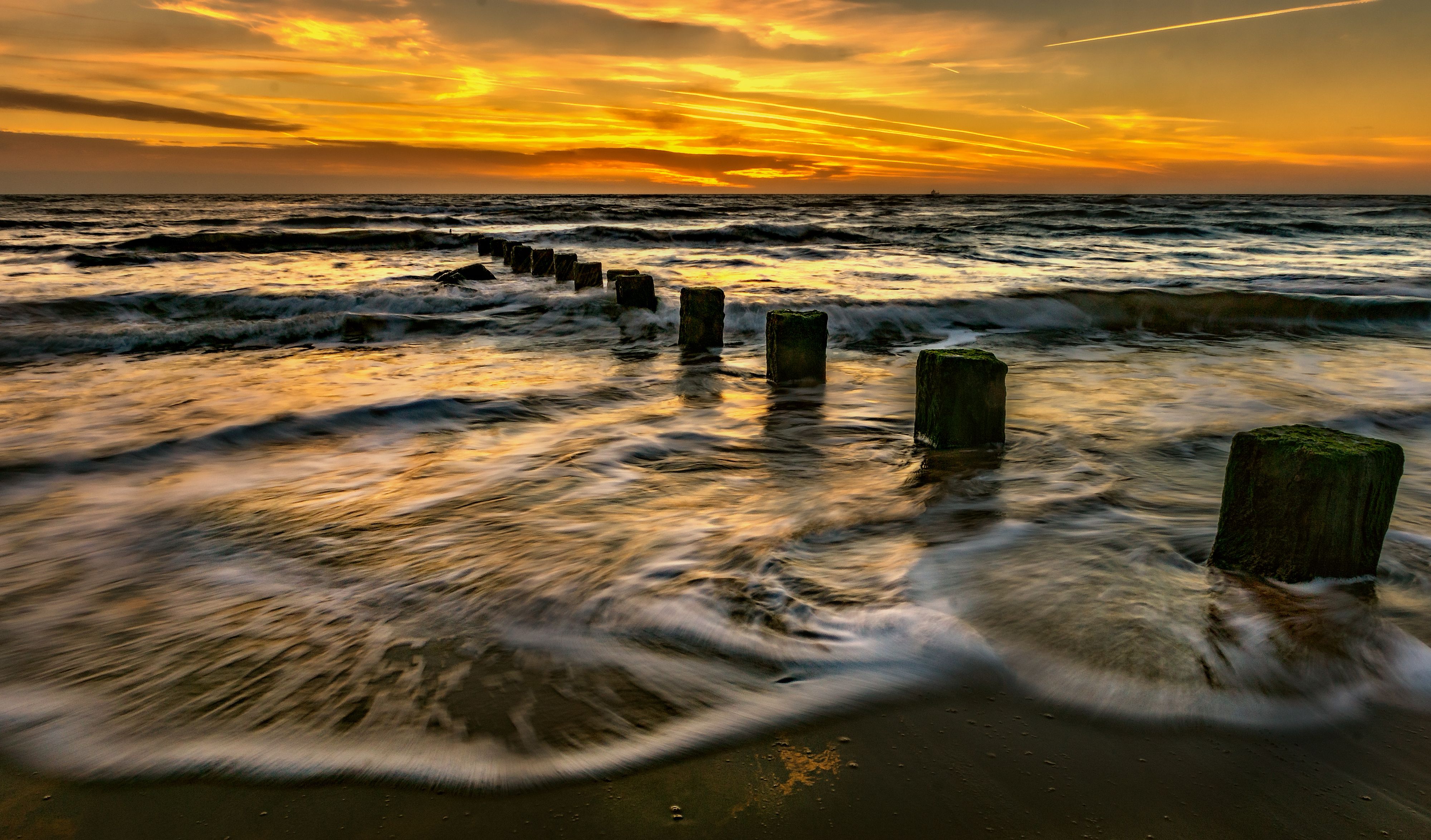 Breakwater Poles at Sunset · Free Stock Photo