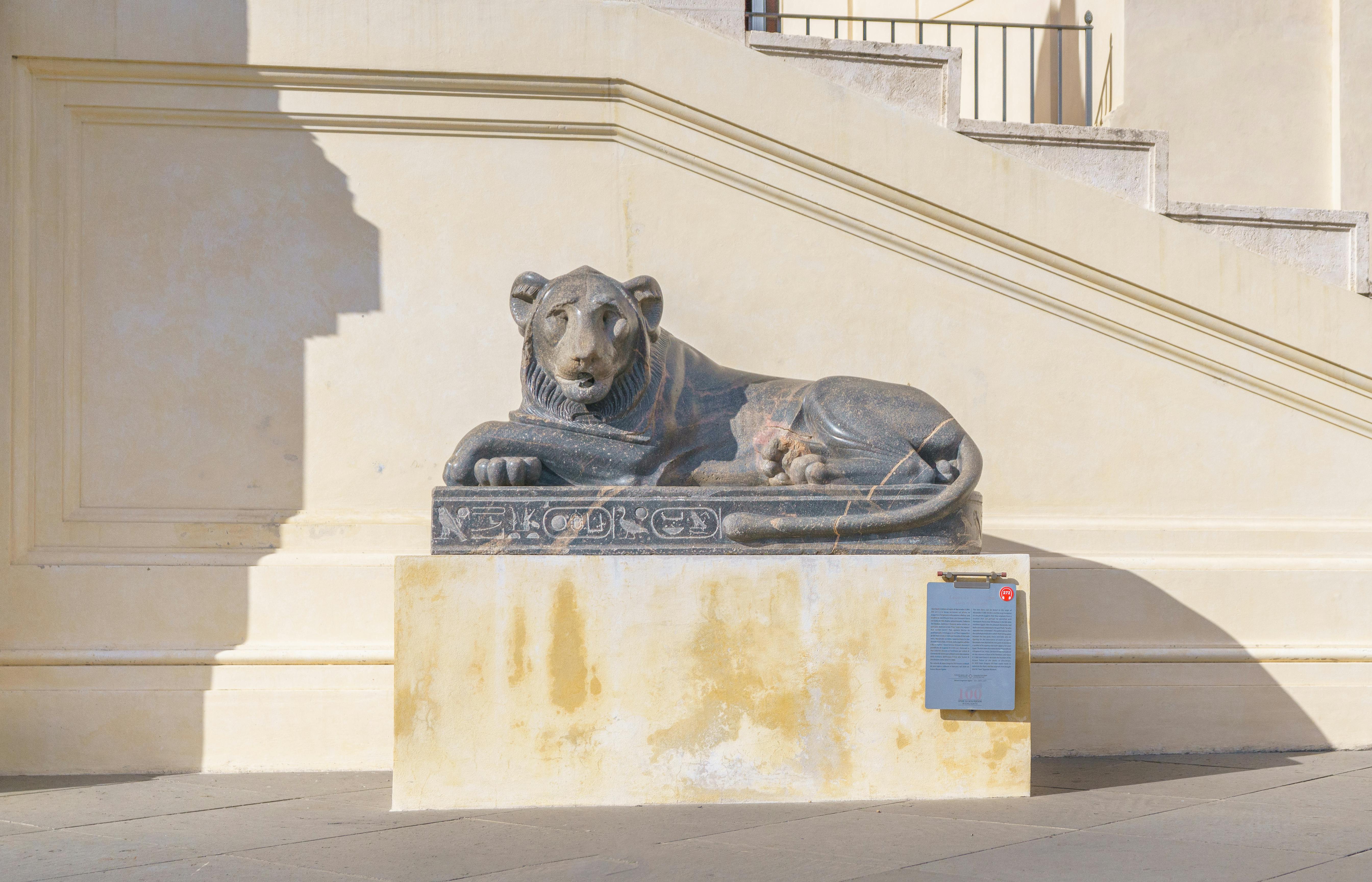 Copy Other Photos, Download The BEST Free Copy Other Stock Photos & HD ...