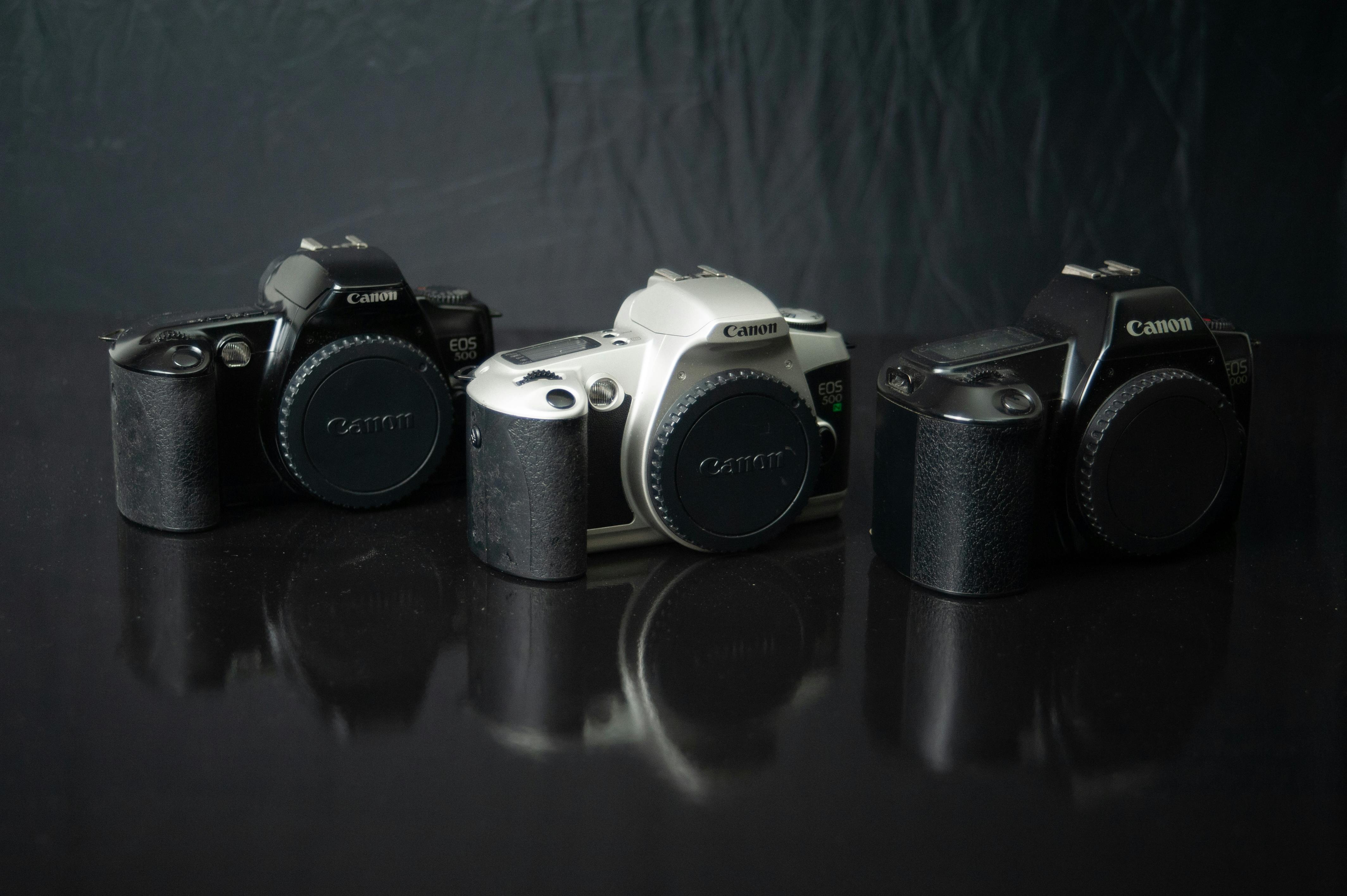 Canon EOS SLR Cameras · Free Stock Photo