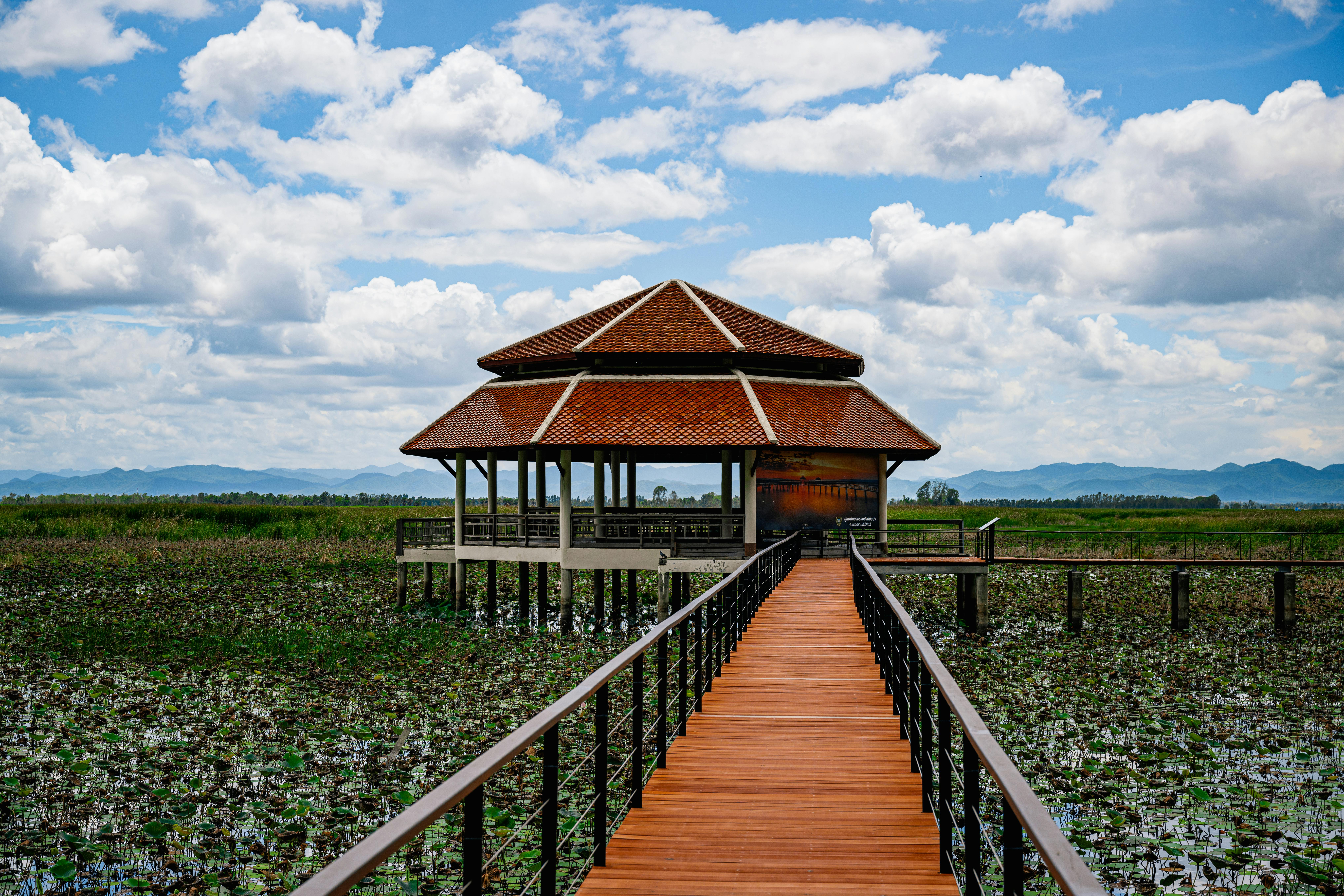 Lotus Wallpapers Photos, Download The BEST Free Lotus Wallpapers Stock ...