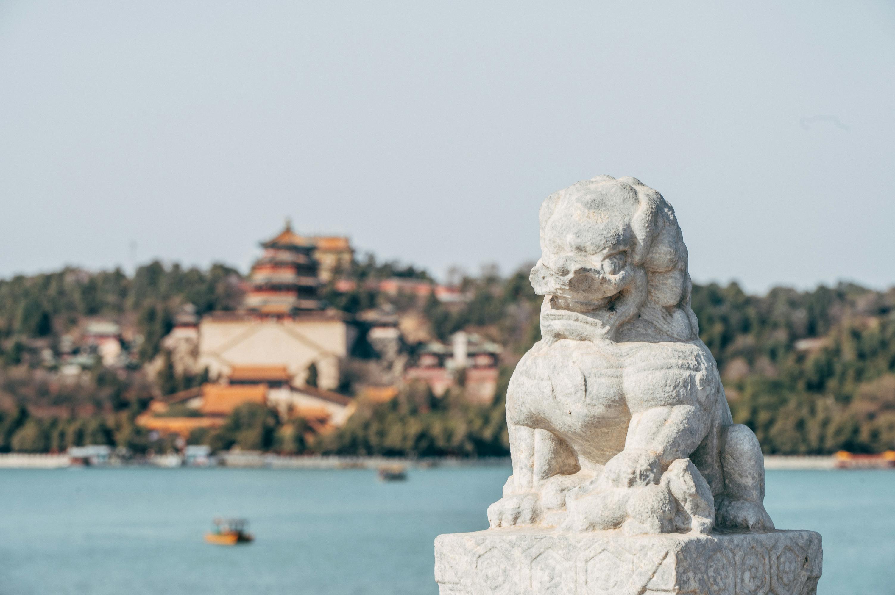 Fo Dog Photos, Download The BEST Free Fo Dog Stock Photos & HD Images