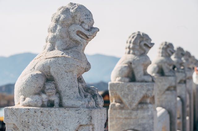 Pom Shi Dog Breed: Essential Care and Grooming Tips Inside