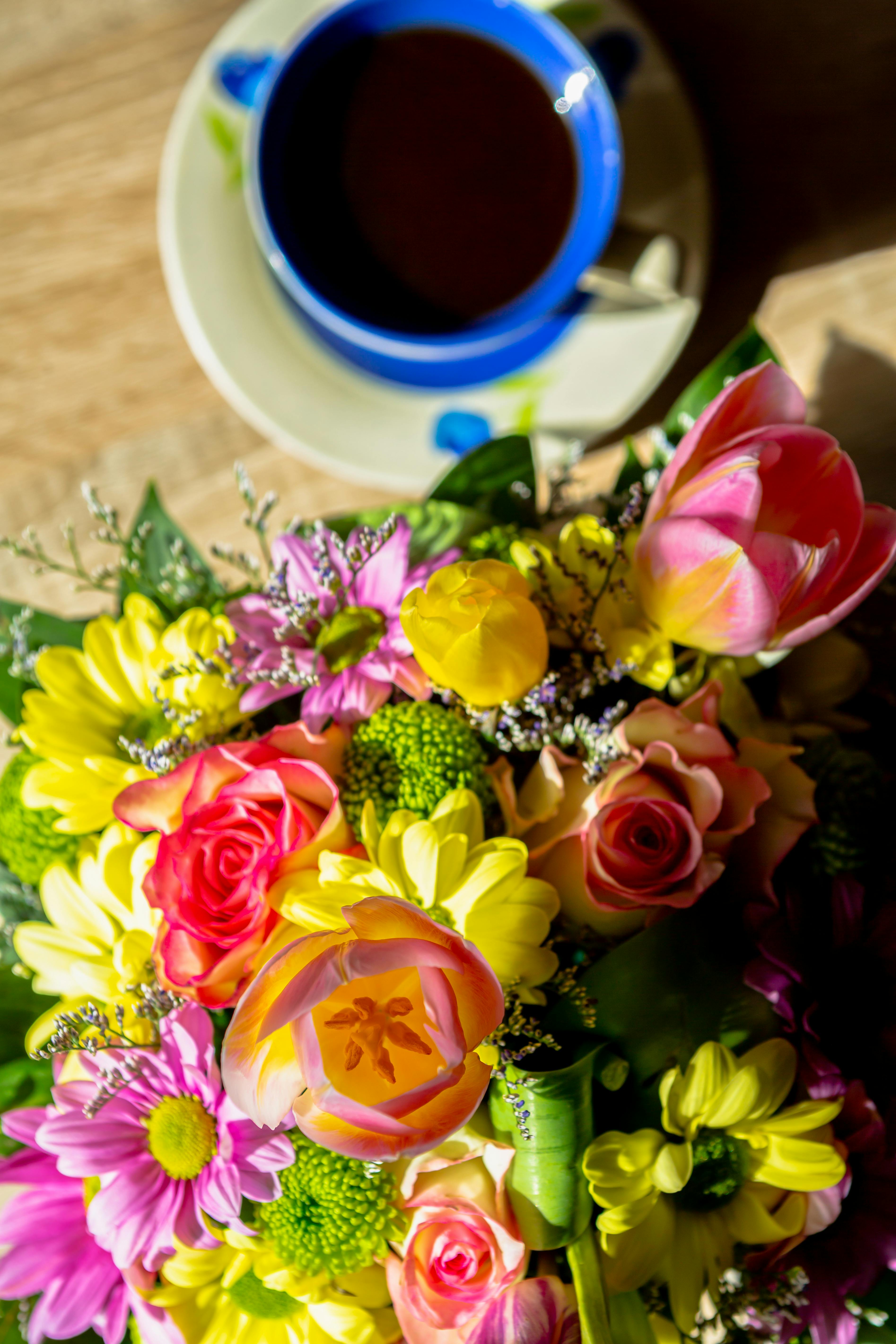 Morning Coffee In The Sun Photos, Download The BEST Free Morning Coffee ...