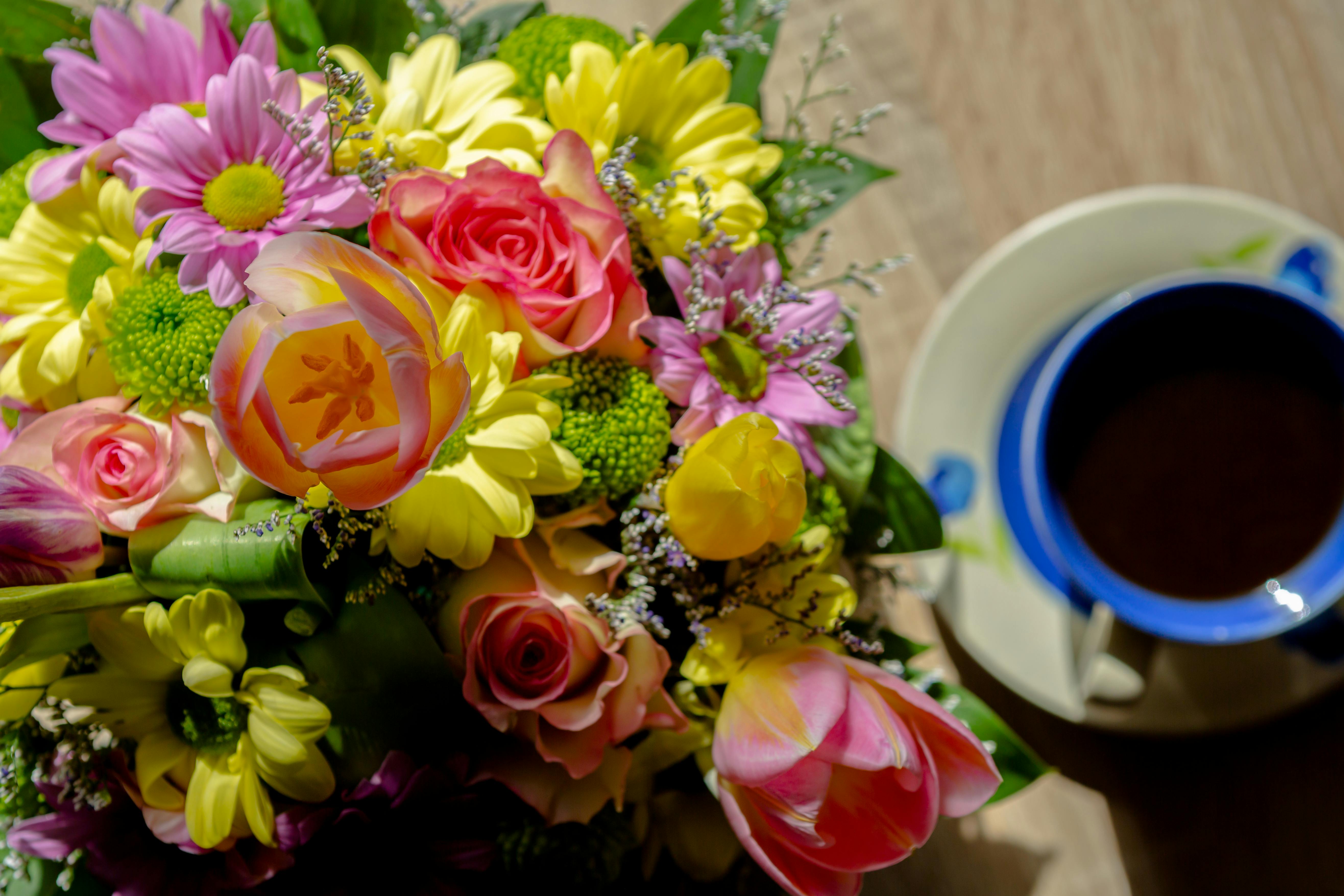 Morning Coffee In The Sun Photos, Download The BEST Free Morning Coffee ...