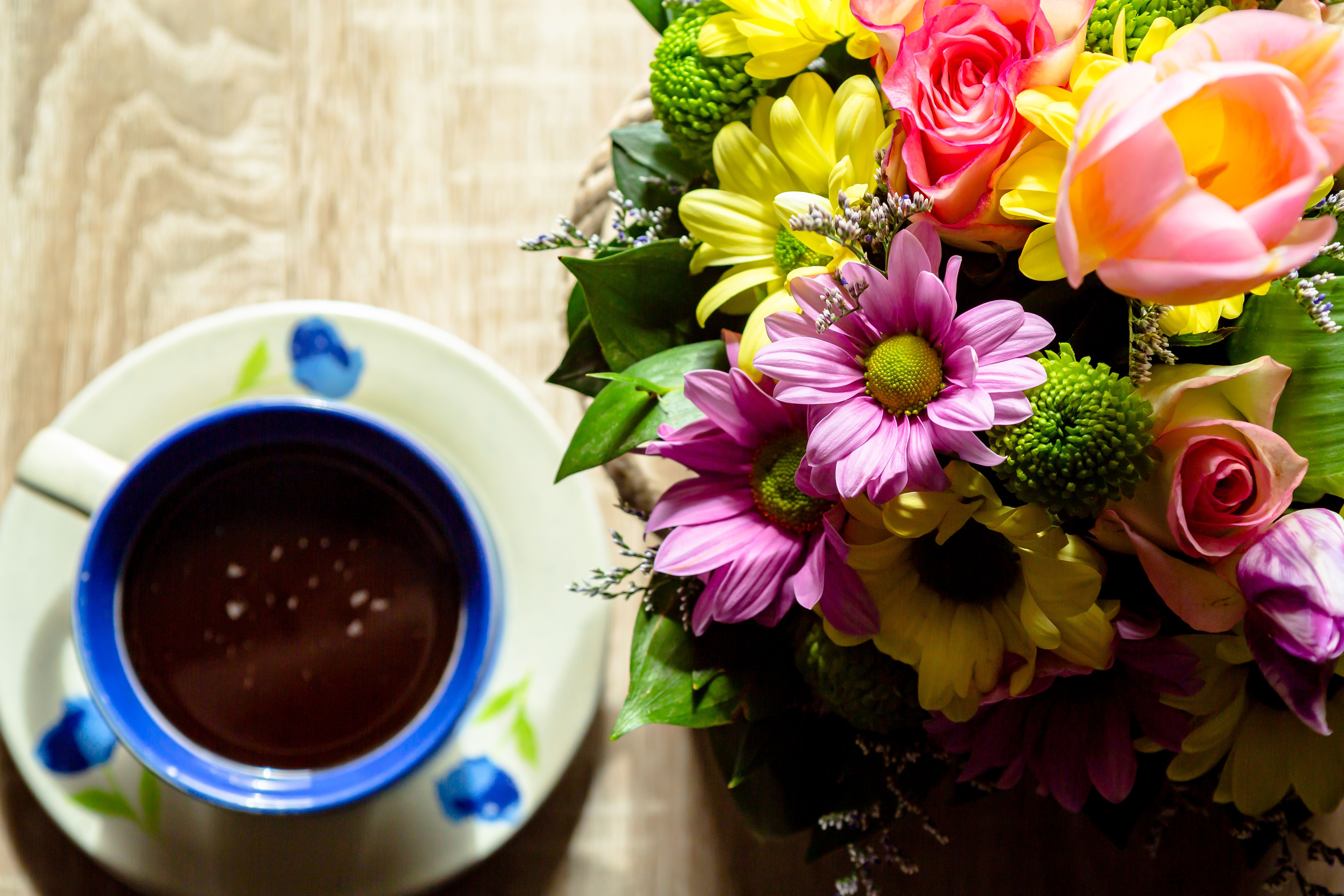 Morning Coffee In The Sun Photos, Download The BEST Free Morning Coffee ...