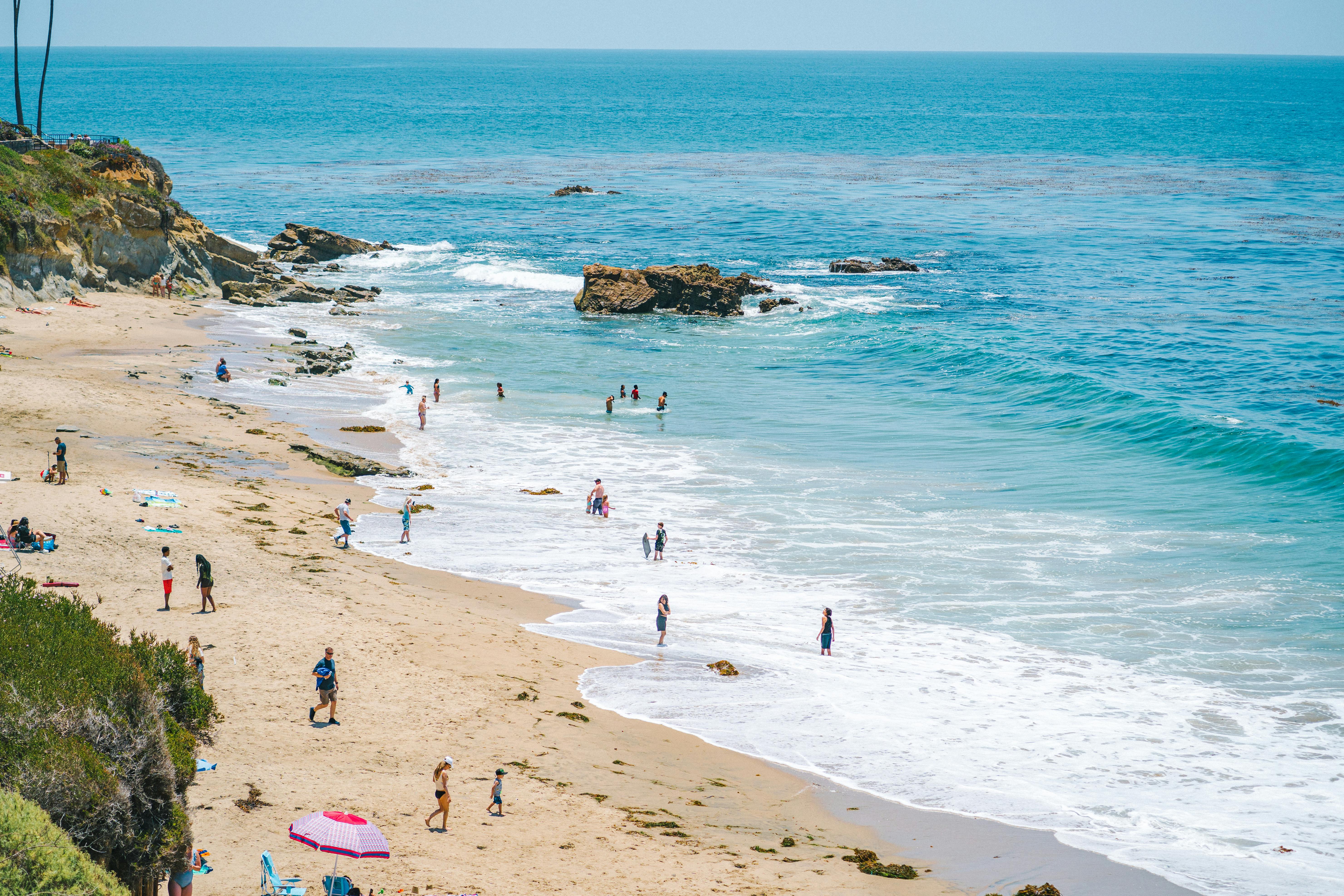 Vacationers on Beach and in Sea · Free Stock Photo