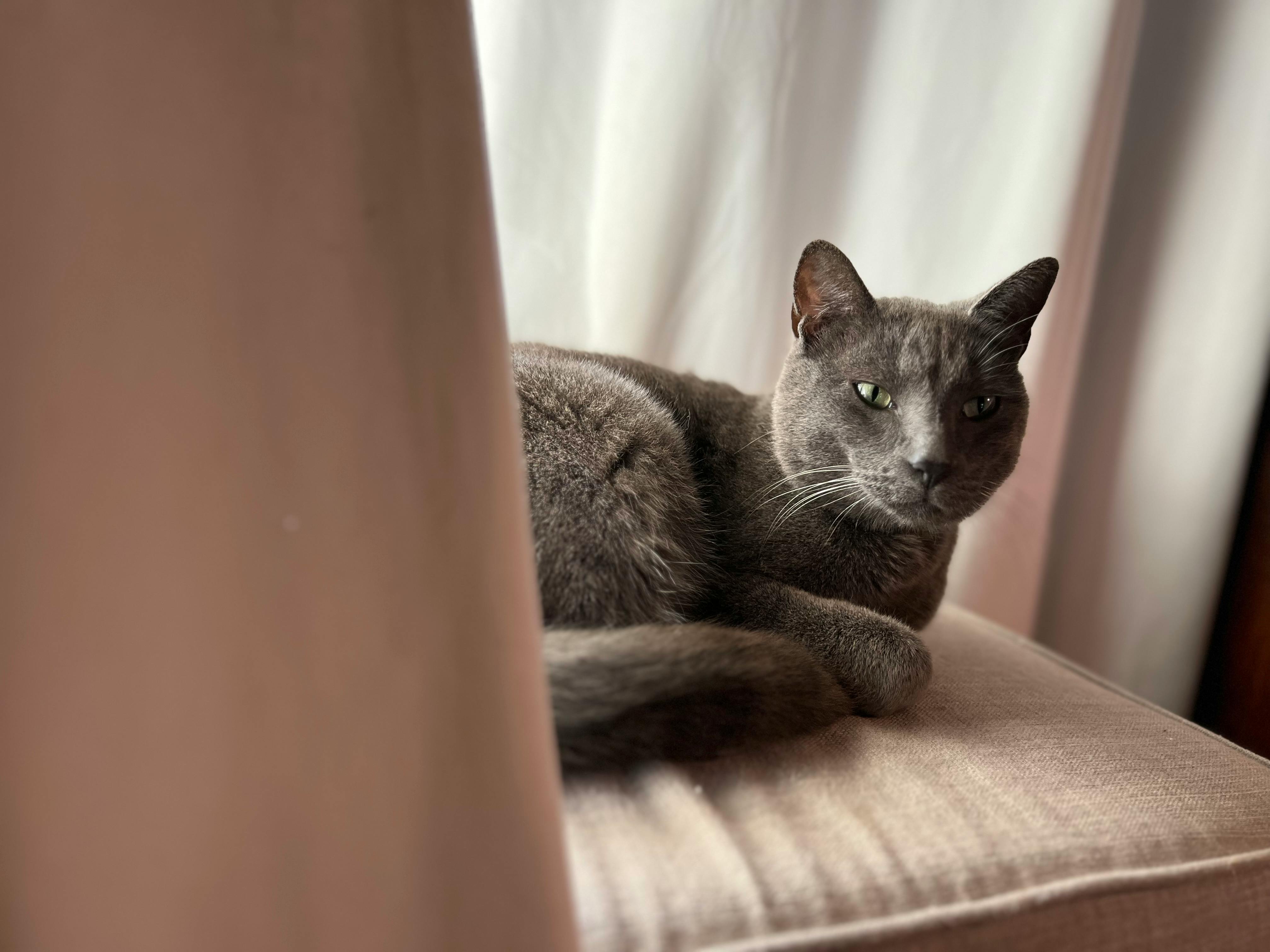 Lesli Whitecotton - Photography