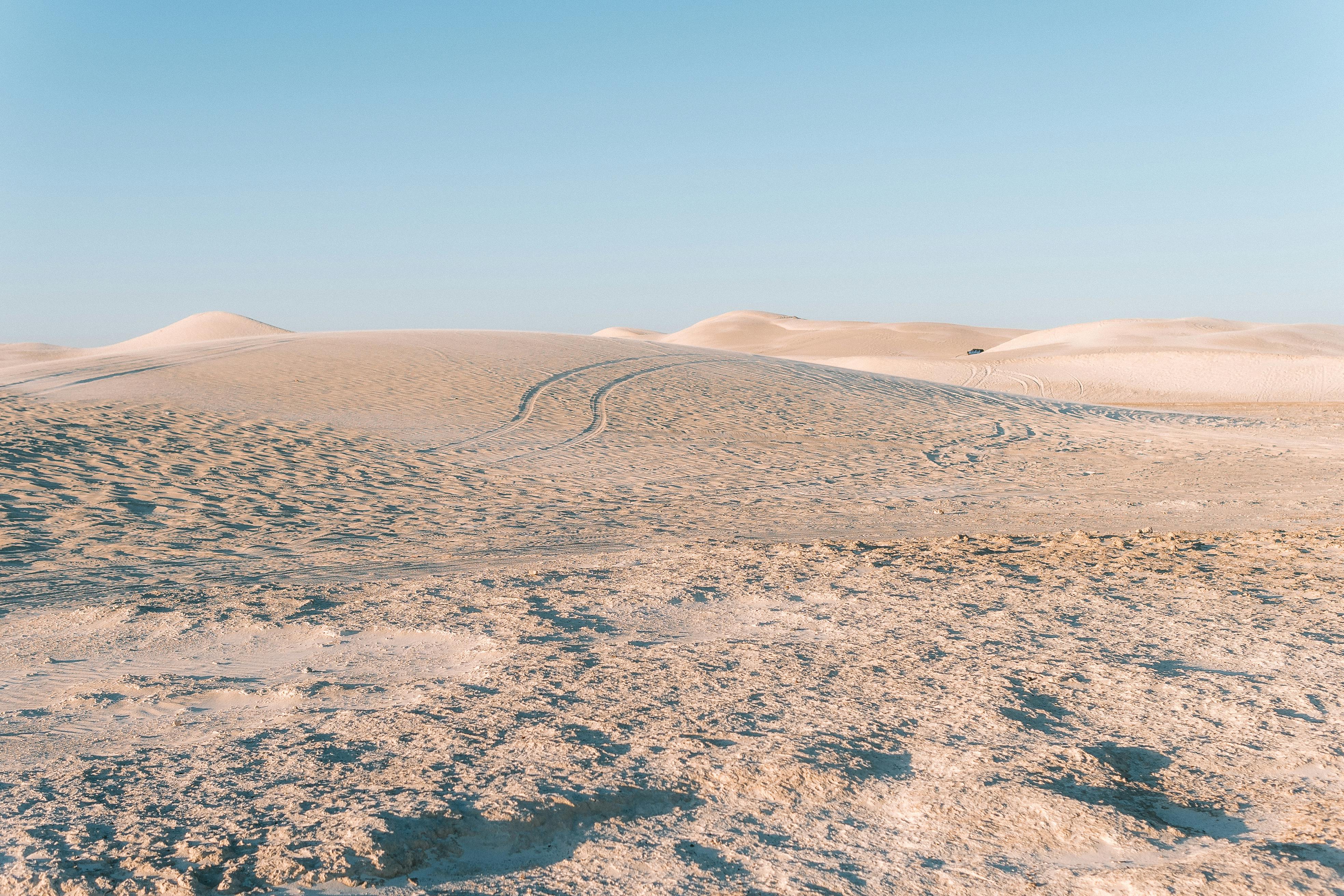 Aerial Shot Of Sand And Trees · Free Stock Photo
