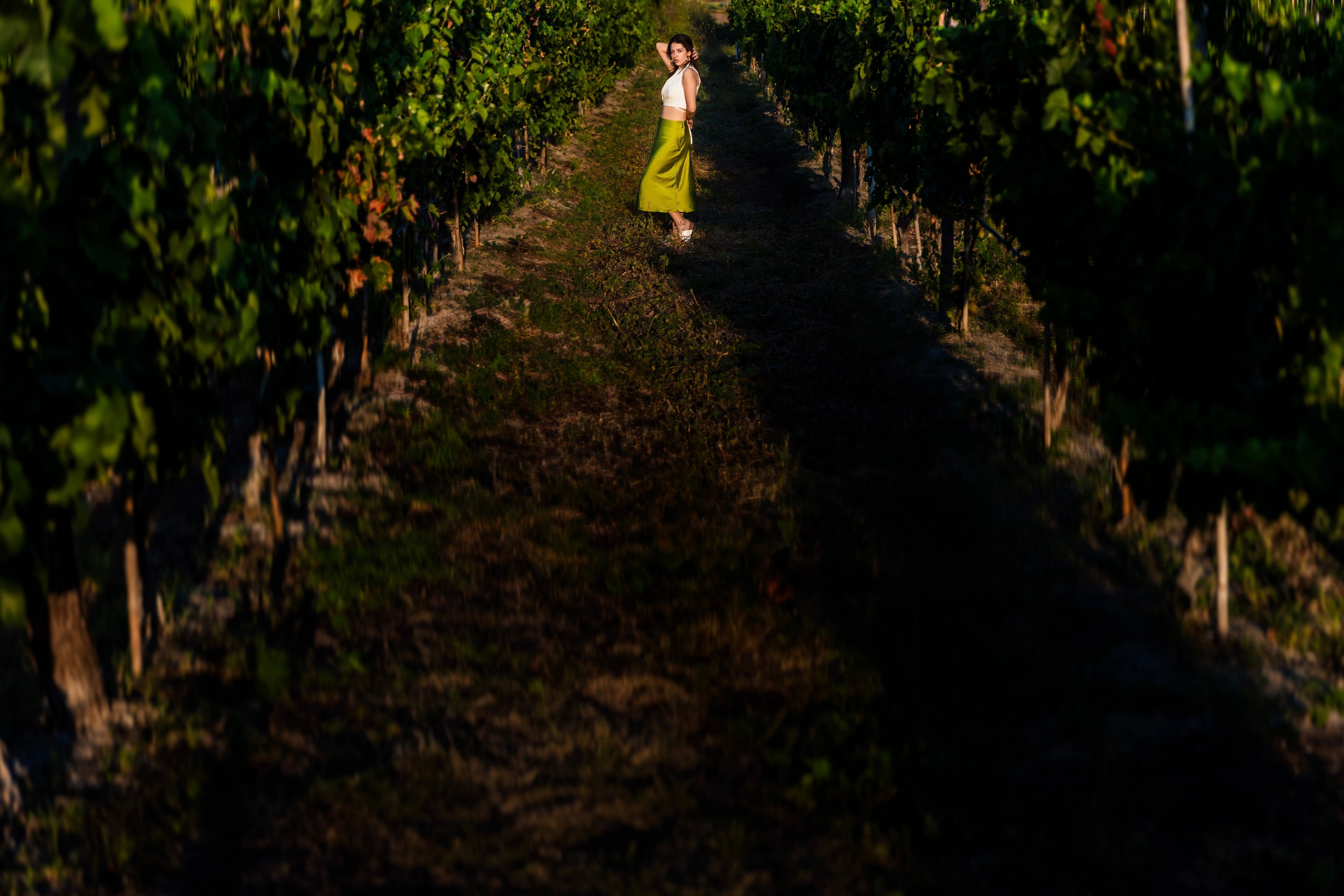 Female Model Posing in a Vineyard · Free Stock Photo