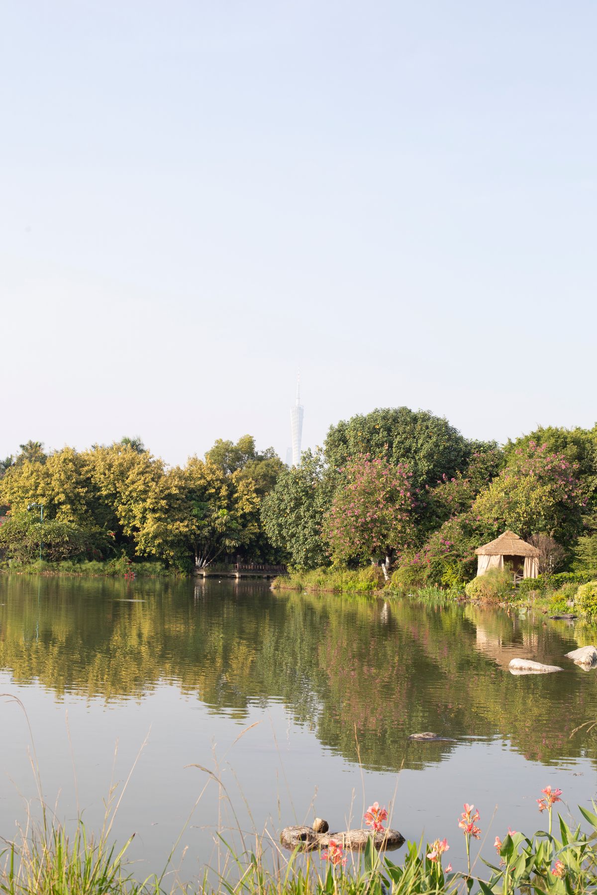 Summer Nature Photos, Download The BEST Free Summer Nature Stock Photos ...