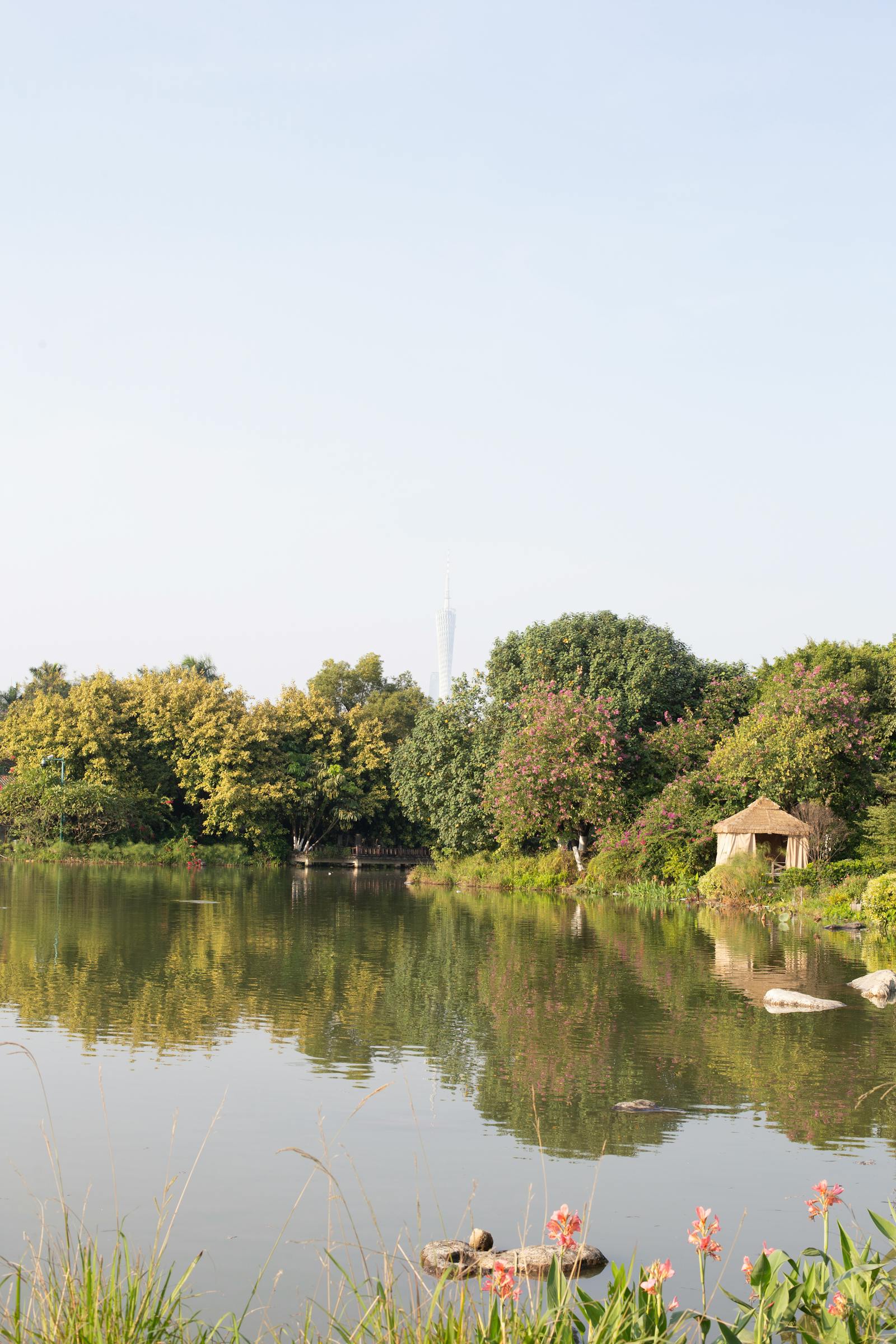 Summer Nature Photos, Download The BEST Free Summer Nature Stock Photos ...