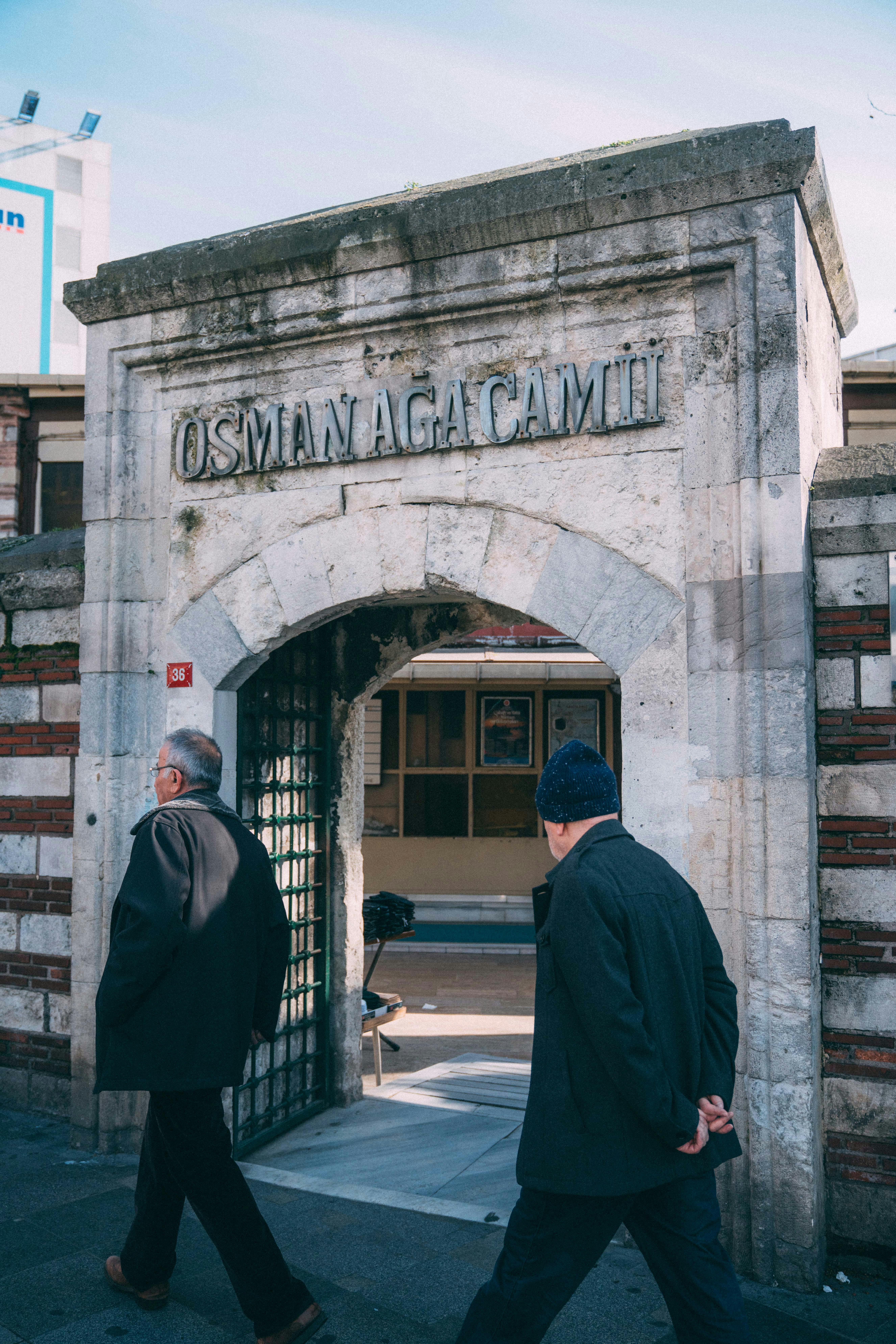 Juharfa ága Photos, Download The BEST Free Juharfa ága Stock Photos ...