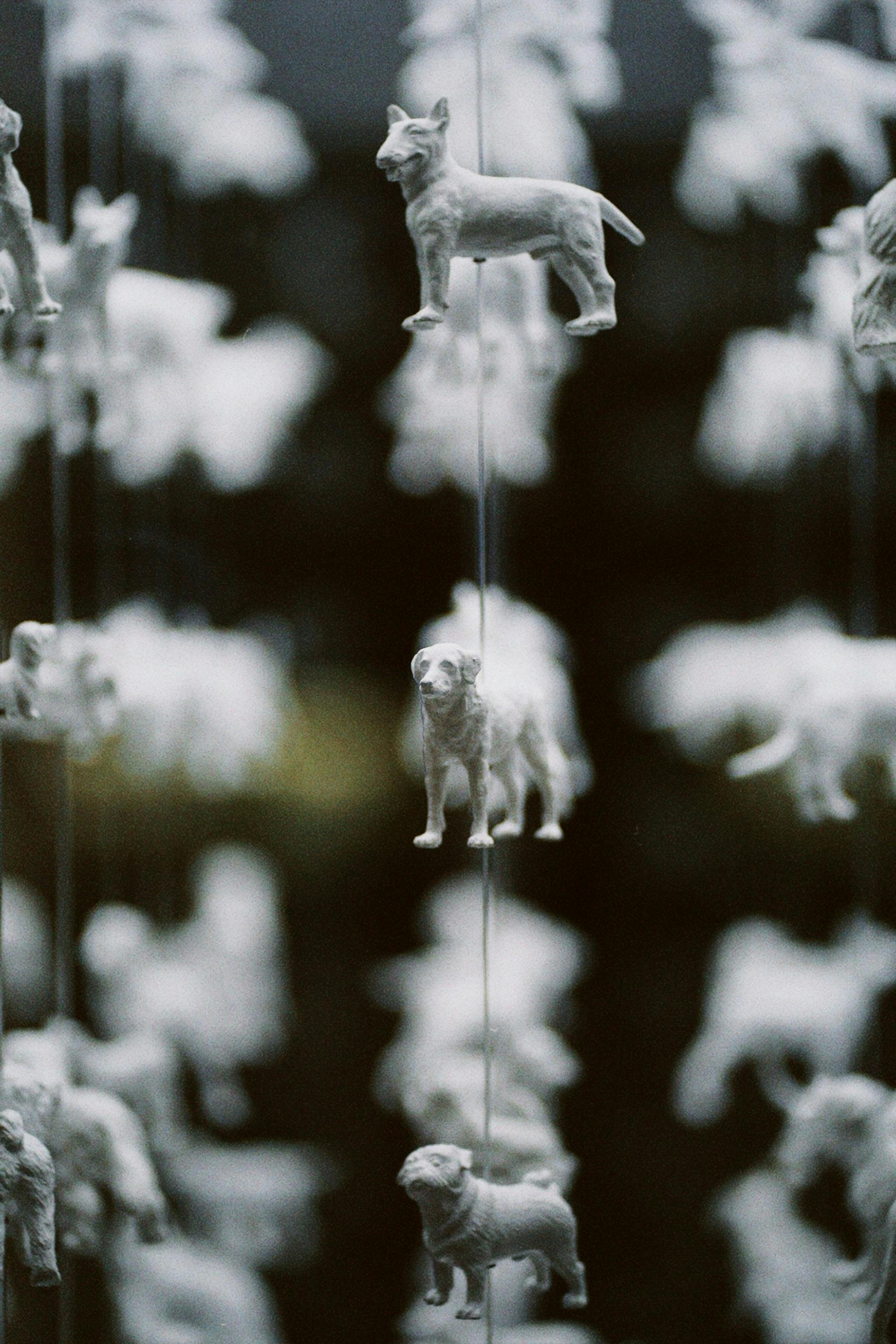 Close-up of an Art Piece with Dog Figurines Hanging on Strings · Free ...