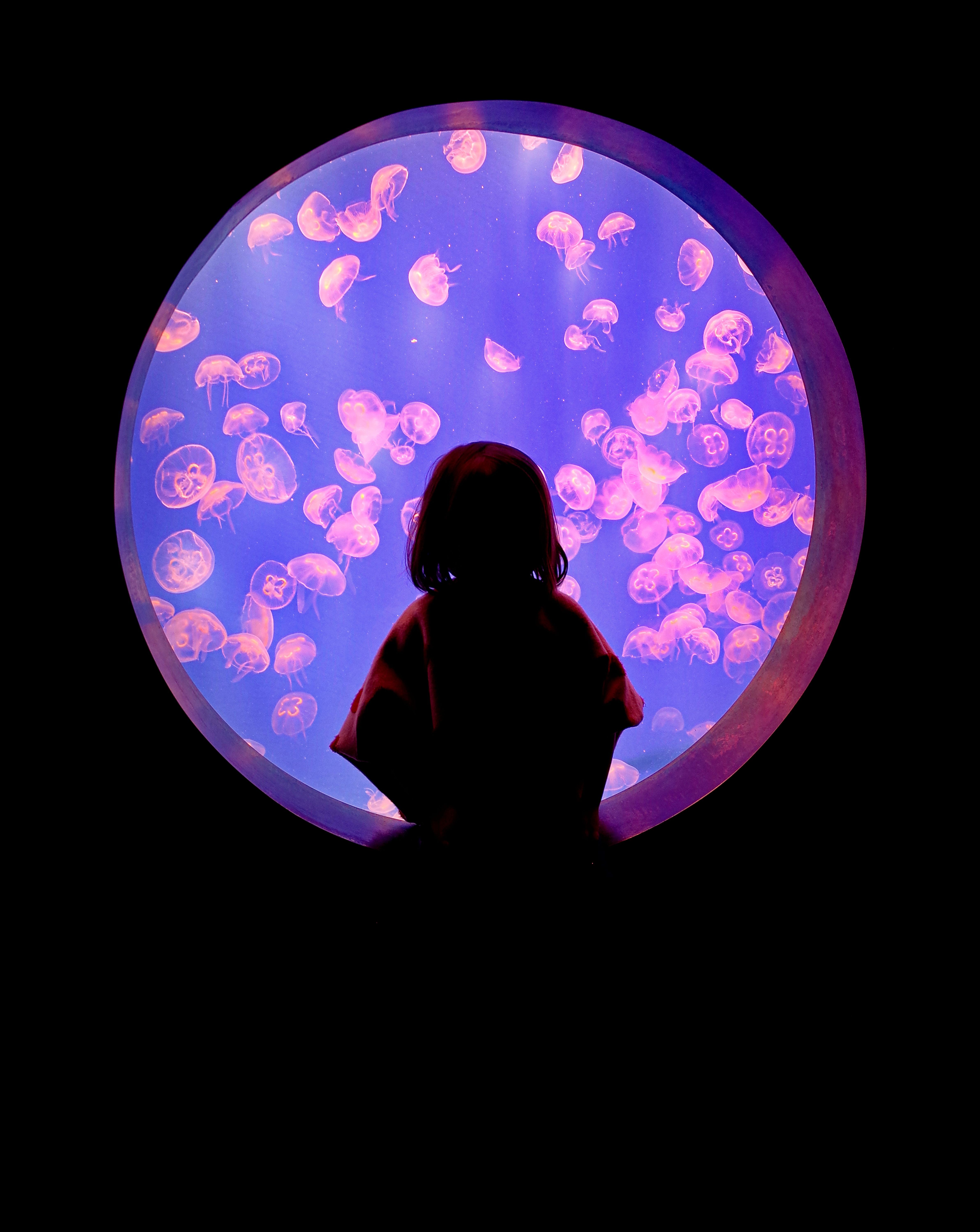 Large Circle Aquarium Photos, Download The BEST Free Large Circle ...