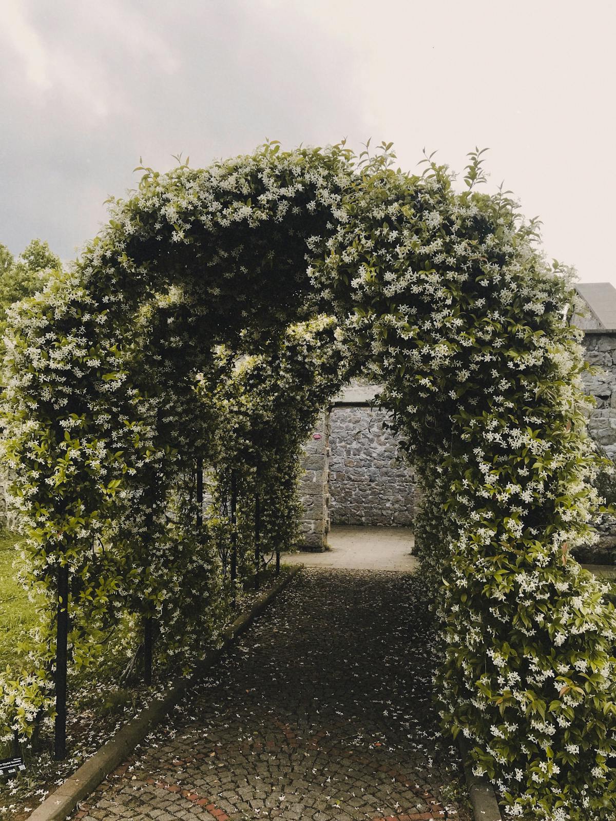 Flower Arch Photos, Download The BEST Free Flower Arch Stock Photos ...