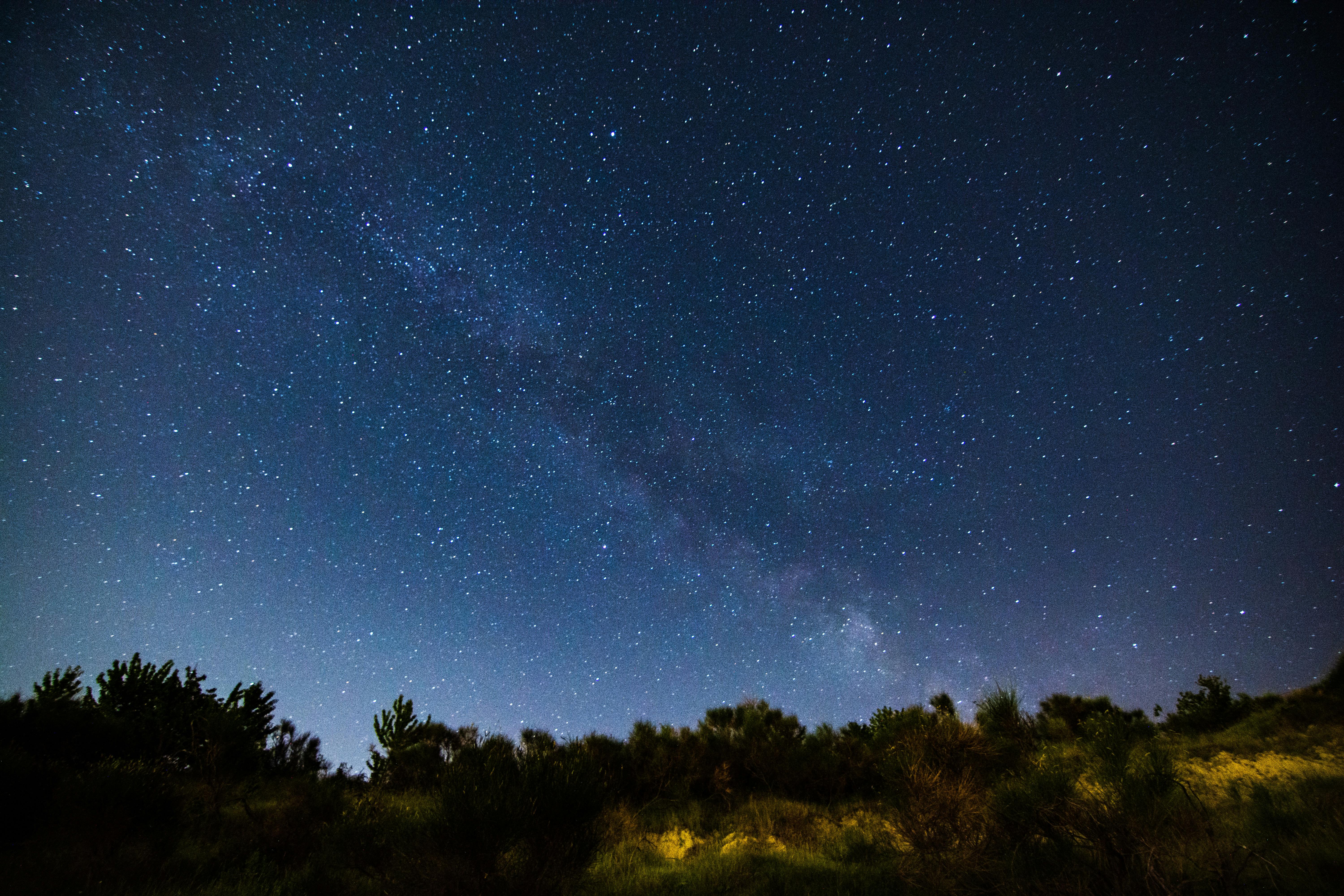Starry Night Sky above a Field with Trees · Free Stock Photo